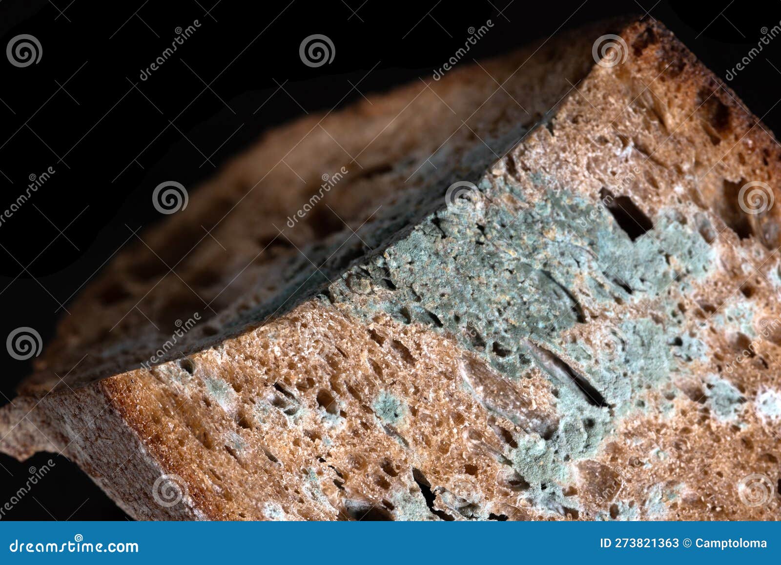 The Old Mold on the Rye Bread Perspective View Spoiled Food Stock Image ...