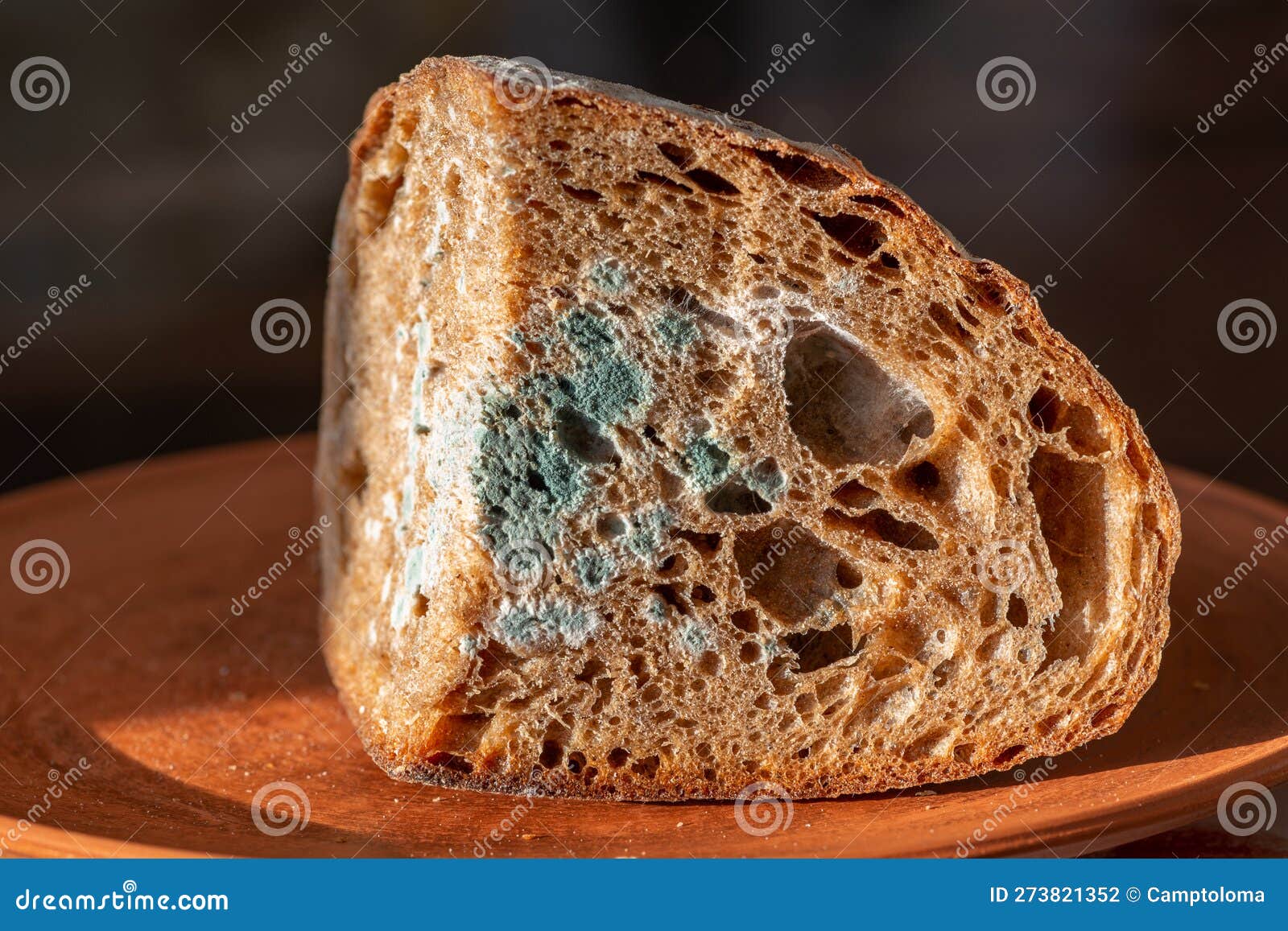The Old Mold on the Rye Bread. Spoiled Food on Ceramic Plate Stock ...
