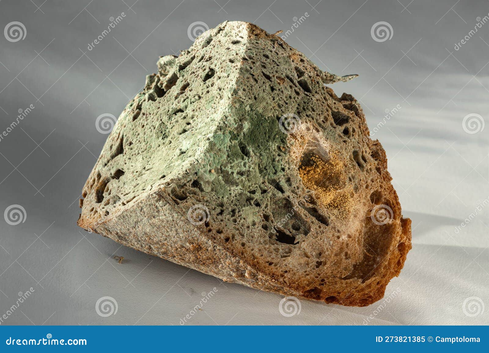 The Old Mold on the Rye Bread. Spoiled Food Stock Image - Image of ...