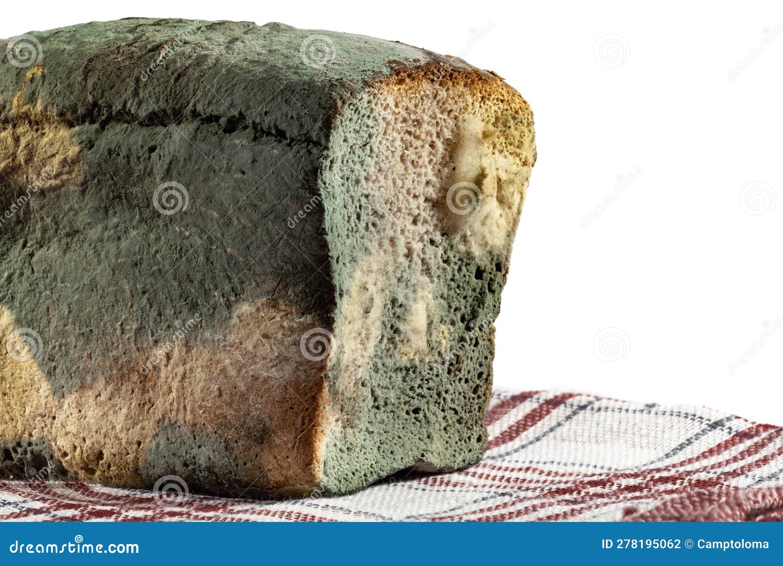 The Old Mold on the Rye Bread. Spoiled Food Stock Photo - Image of ...