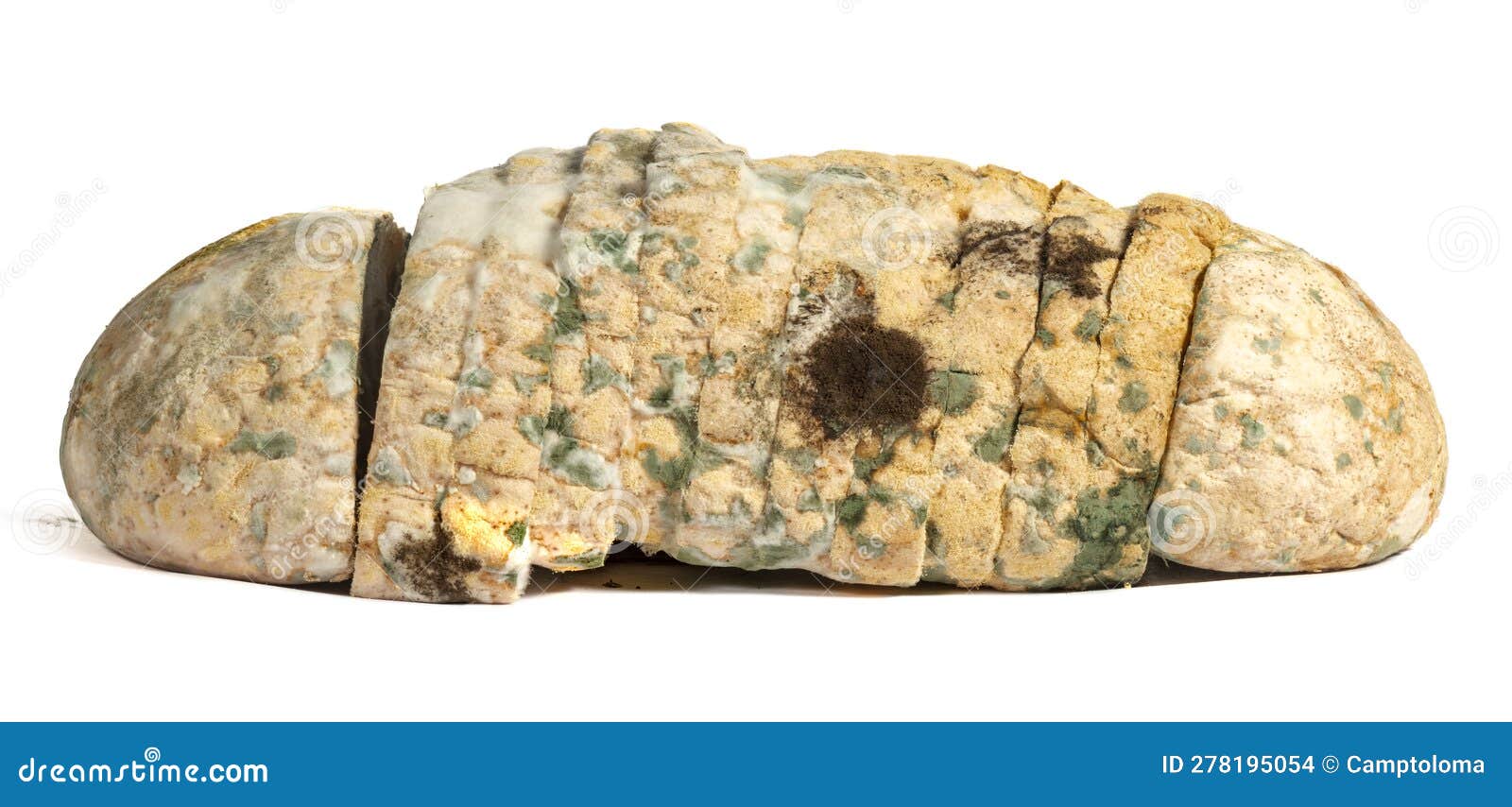 The Old Mold on the Wheat Bread. Spoiled Food Stock Photo - Image of ...