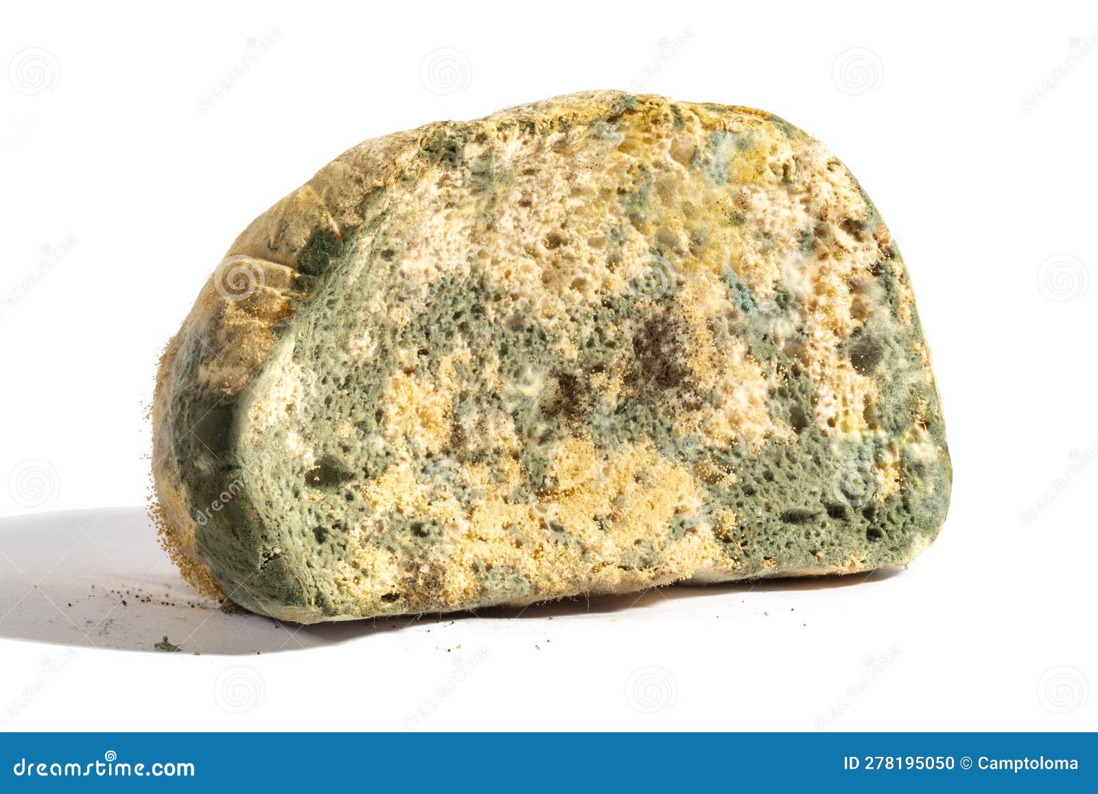 The Old Mold on the Wheat Loaf of Bread Crust. Spoiled Food Stock Photo ...