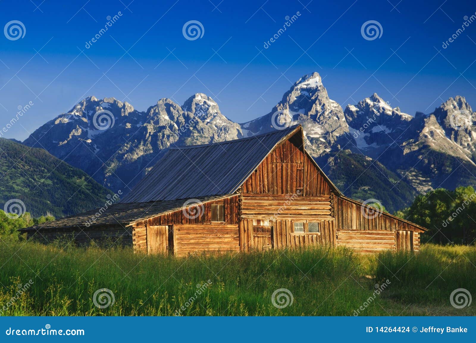 Old Mormon Barn in the Tetons Stock Photo - Image of mormon, landscape ...