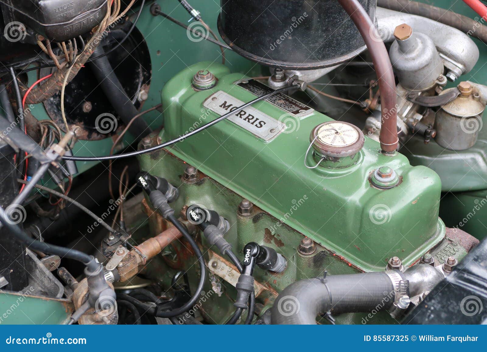 Royalty Free Images, Cartoons, Illustrations And Photos Designed By ...