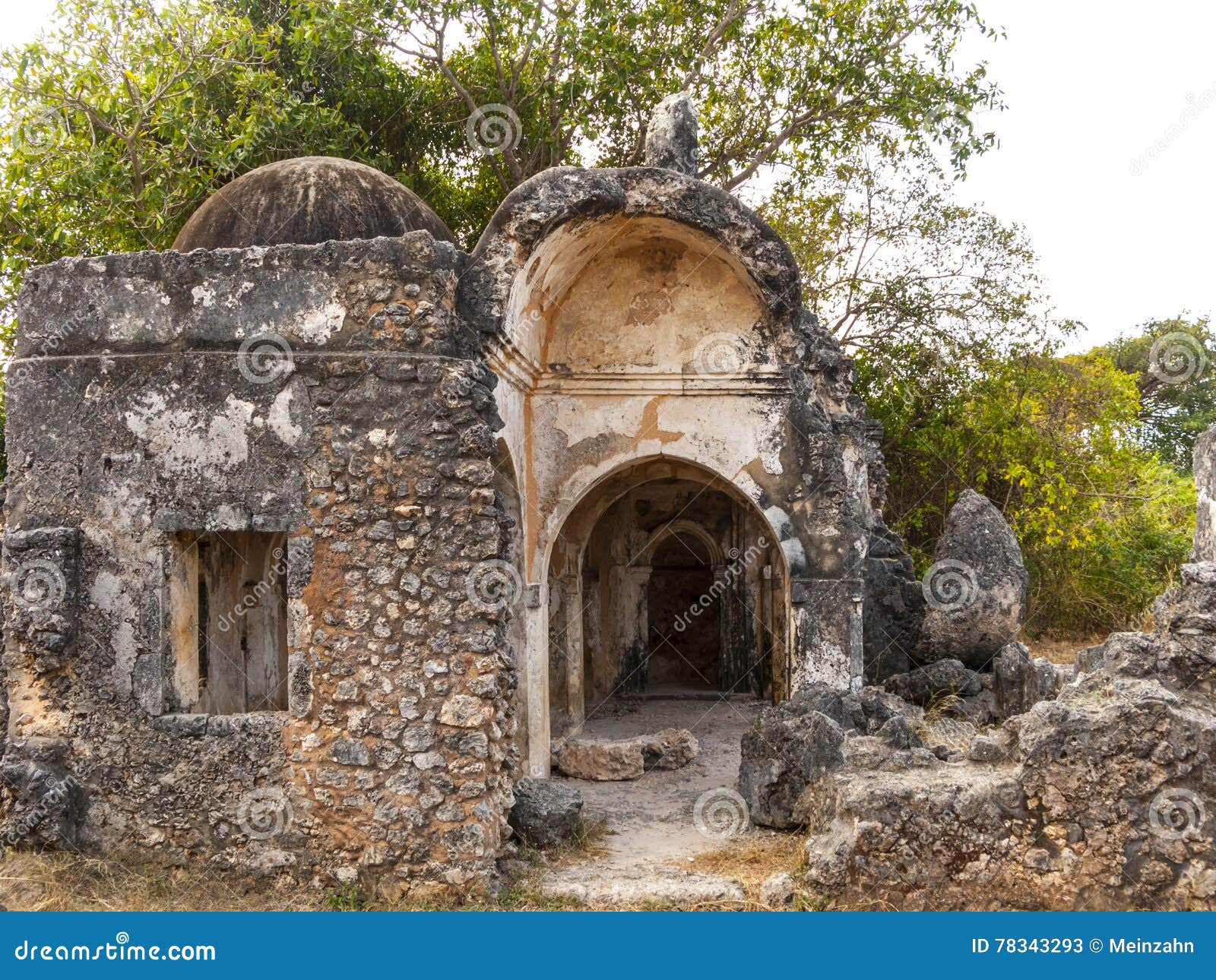 Old Mosque Ruins at Kilwa Kisivani Stock Image - Image of tree ...