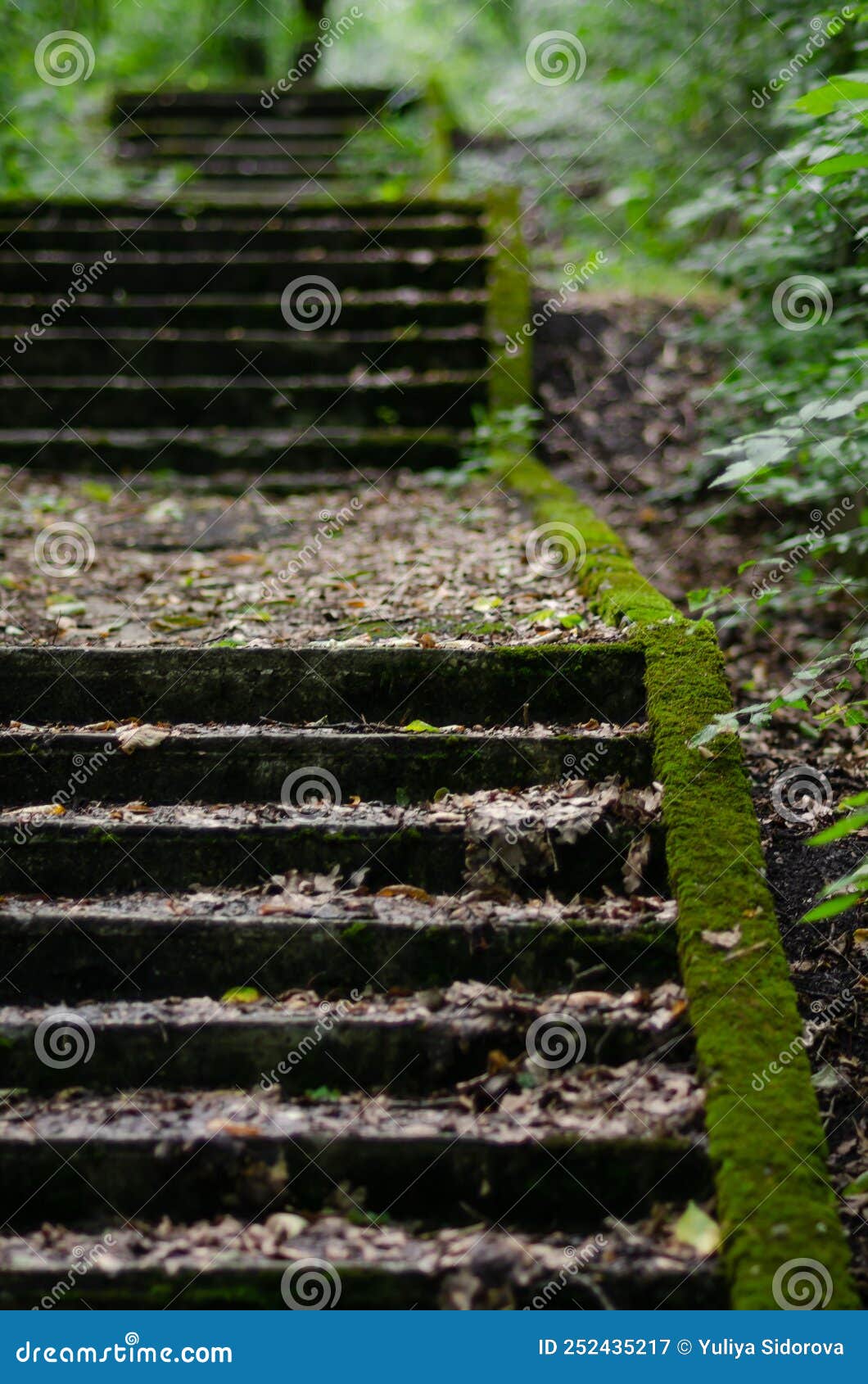 Old Moss-covered Staircase in the Forest Path To the Tunnels Mystical ...