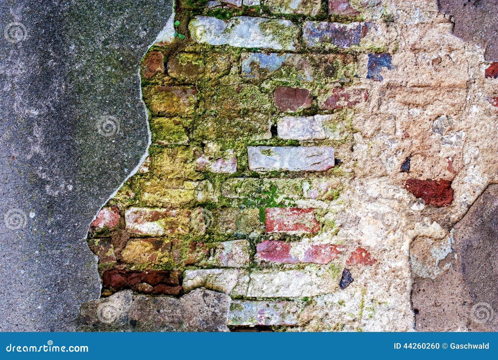 Old mossy brick wall stock photo. Image of pattern, green - 44260260
