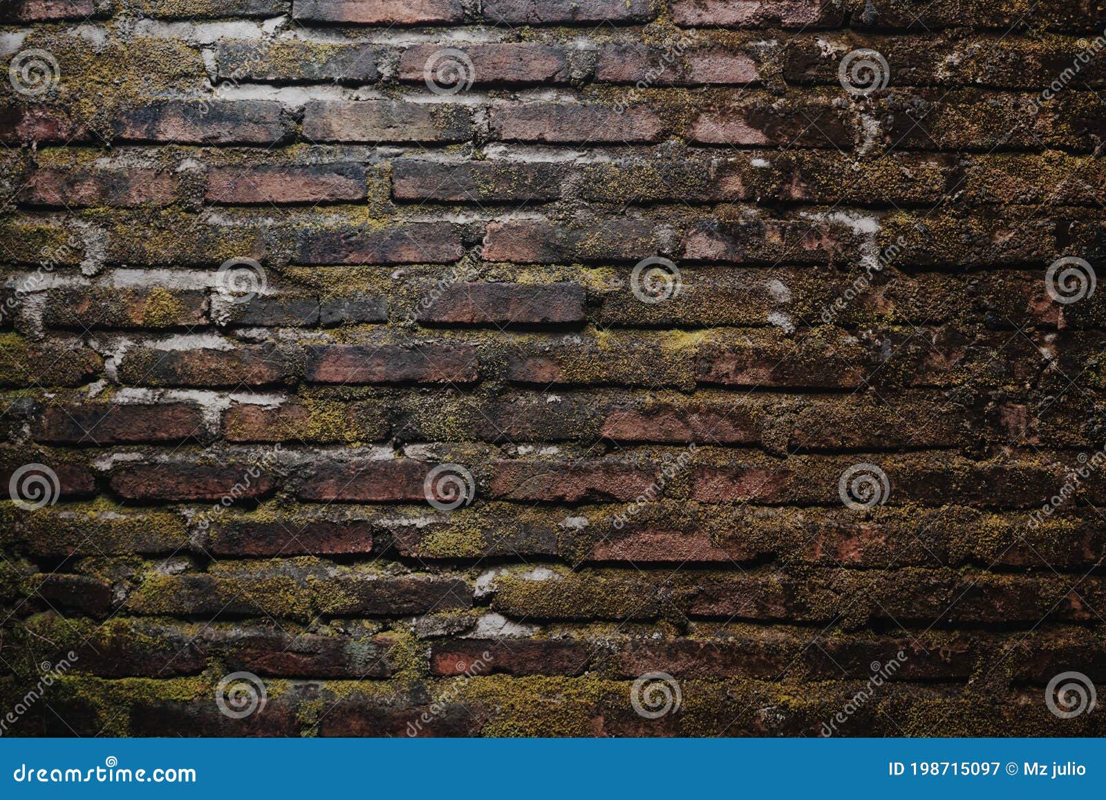 Old, mossy brick walls stock image. Image of unique - 198715097