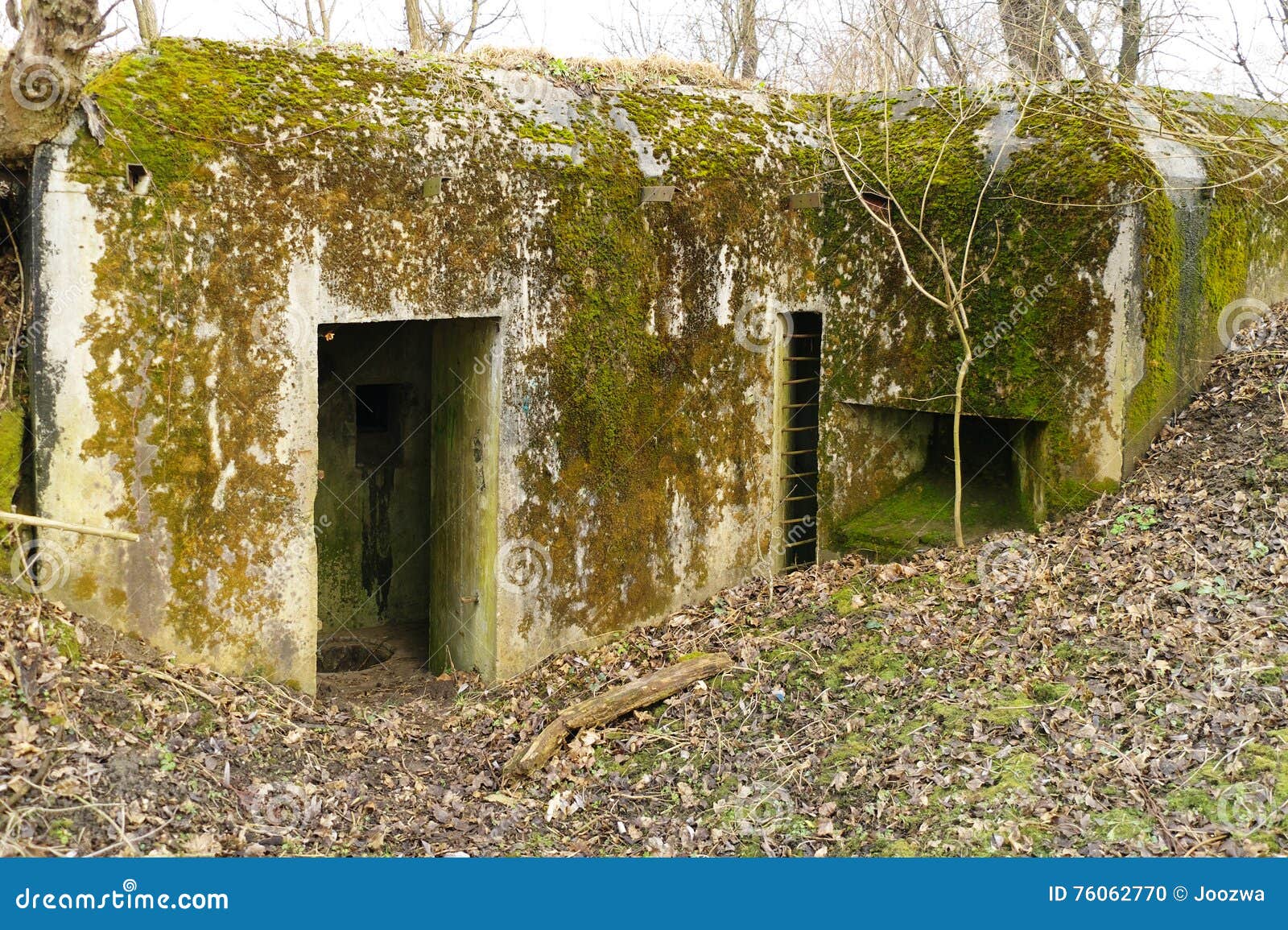 Old mossy concrete bunker stock photo. Image of fortification - 76062770