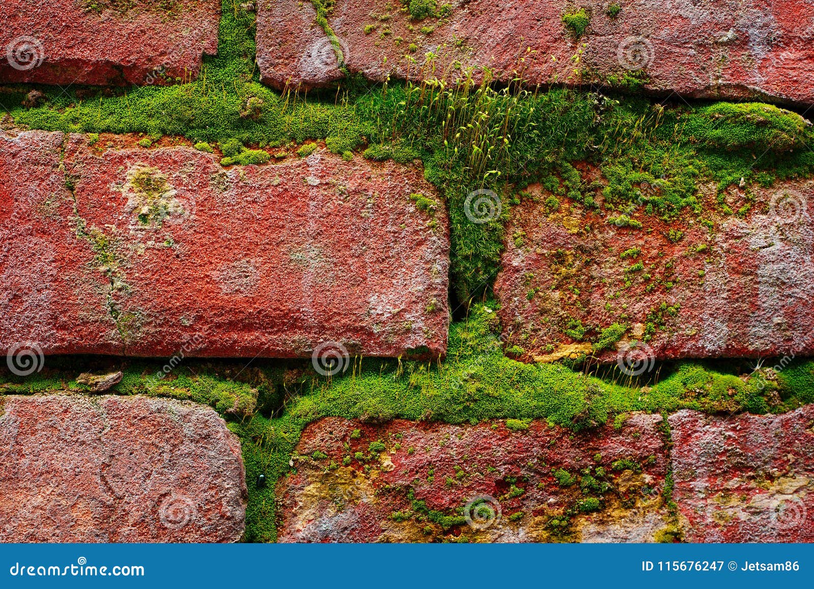 Old Mossy Brick Wall Texture Close-up Stock Image - Image of rock ...