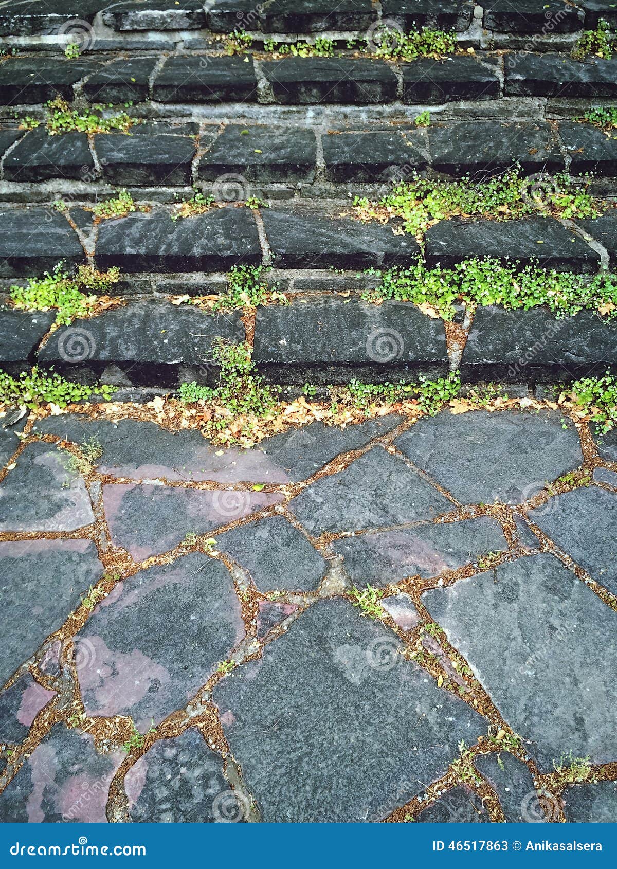 Old mossy stone steps stock image. Image of steps, outside - 46517863