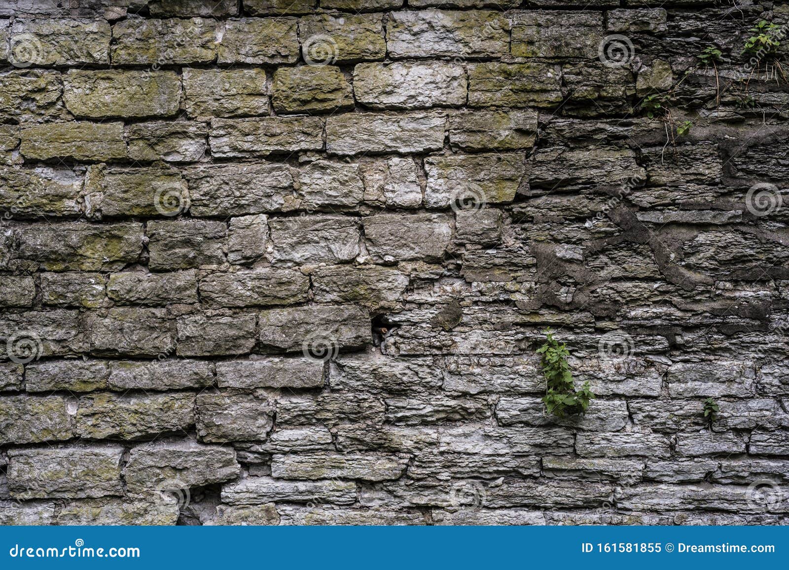 Royalty Free Images, Cartoons, Illustrations And Photos Designed By ...