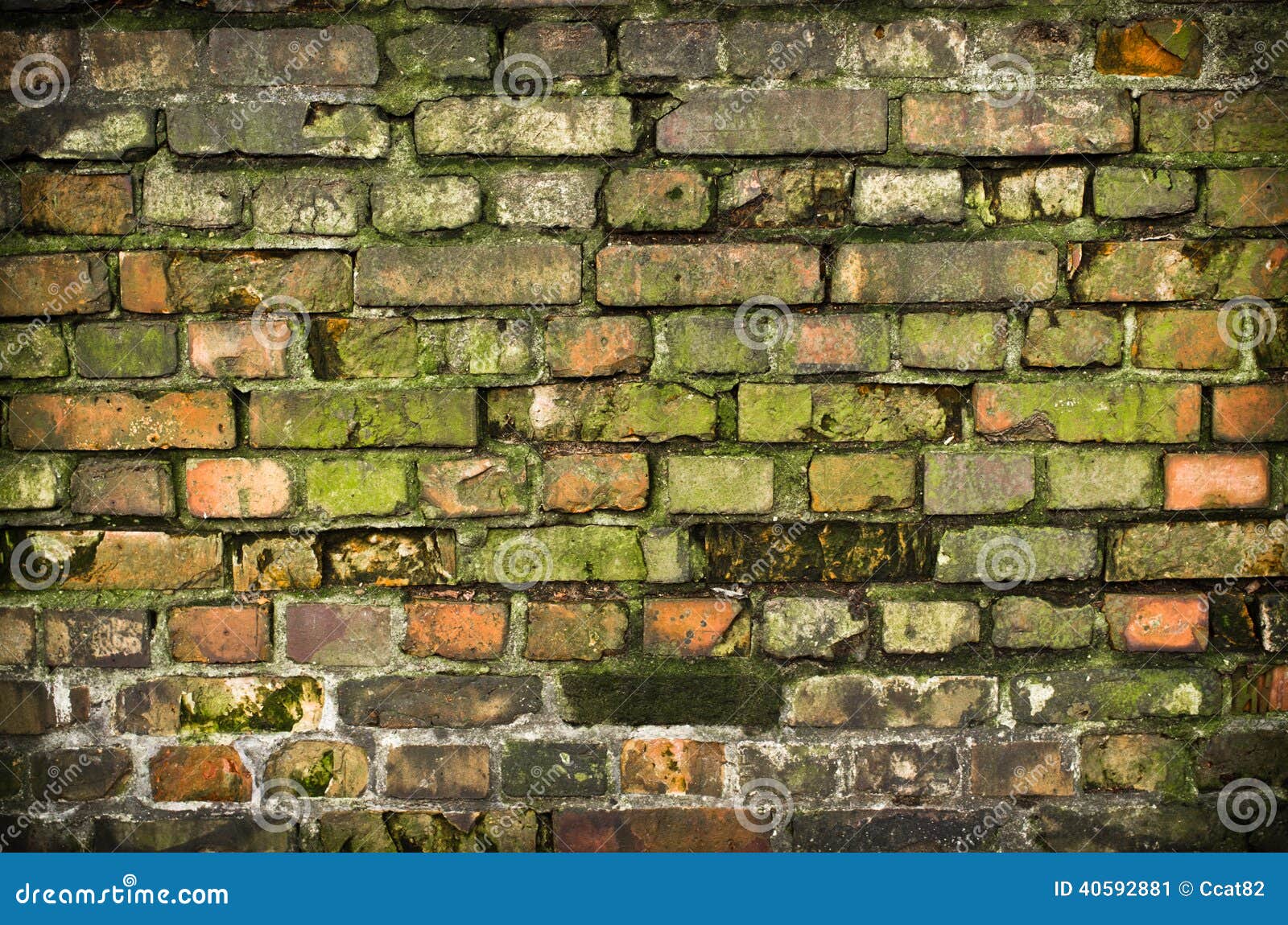 Mossy Wall Surface With An Old Sign \"Fonte Das Lagrimas-Fountain Of ...