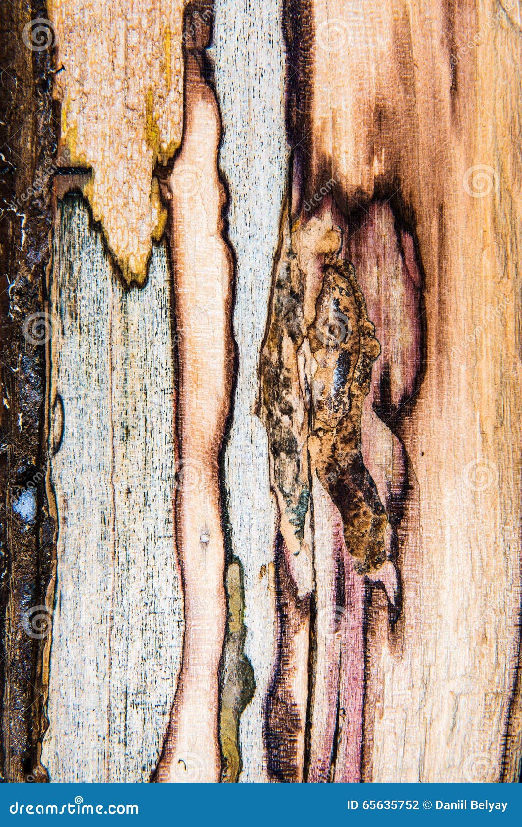Old Mouldering Oak Wood Texture Stock Photo - Image of desk, structure ...