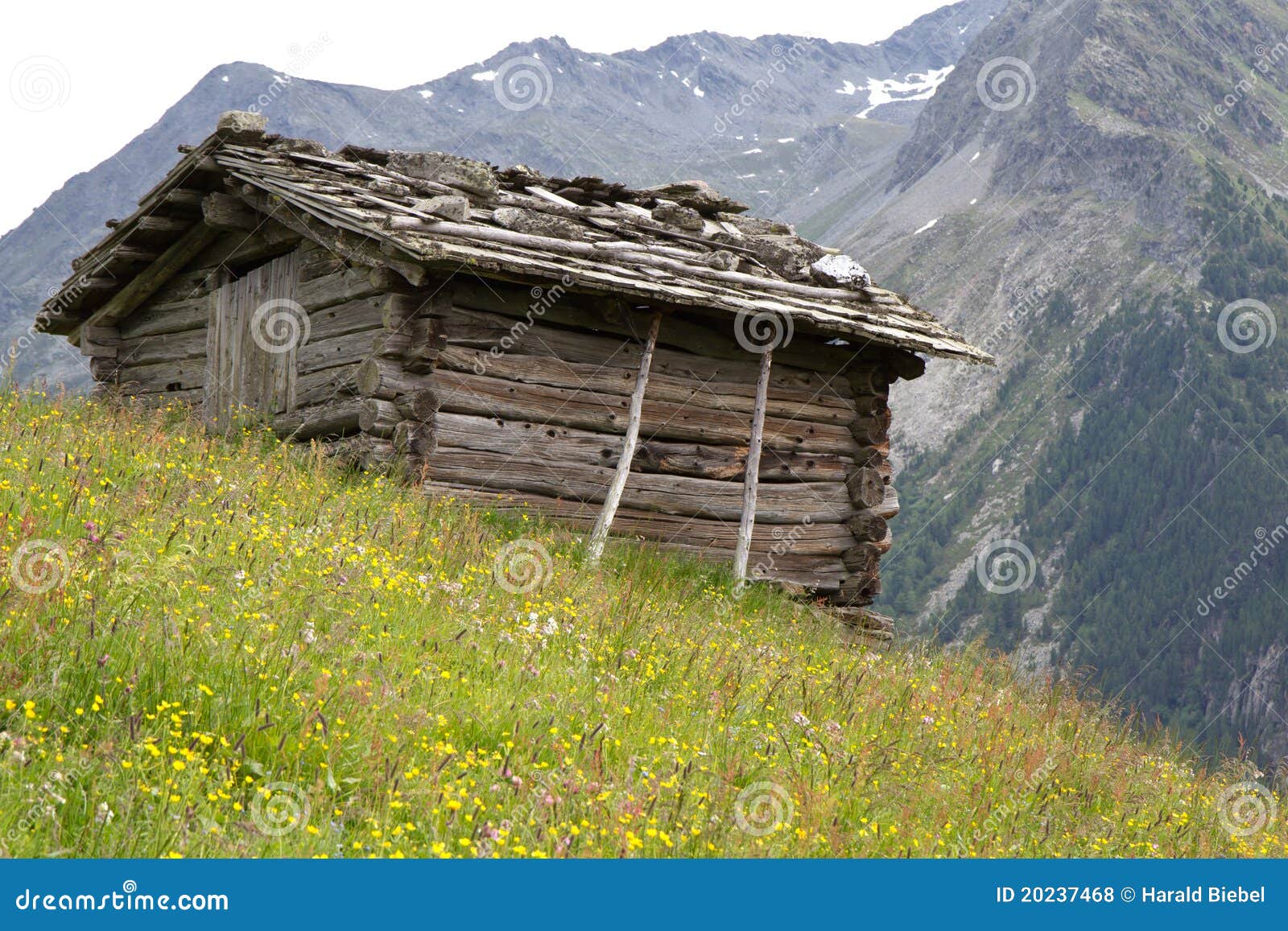Old Mountain Hut in South Tyrol, Italy Stock Photo - Image of ...