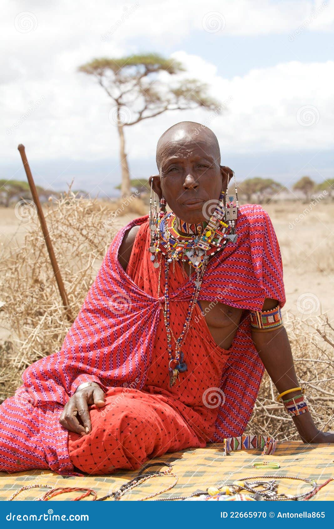 Old Msai woman editorial image. Image of group, wildlife - 22665970