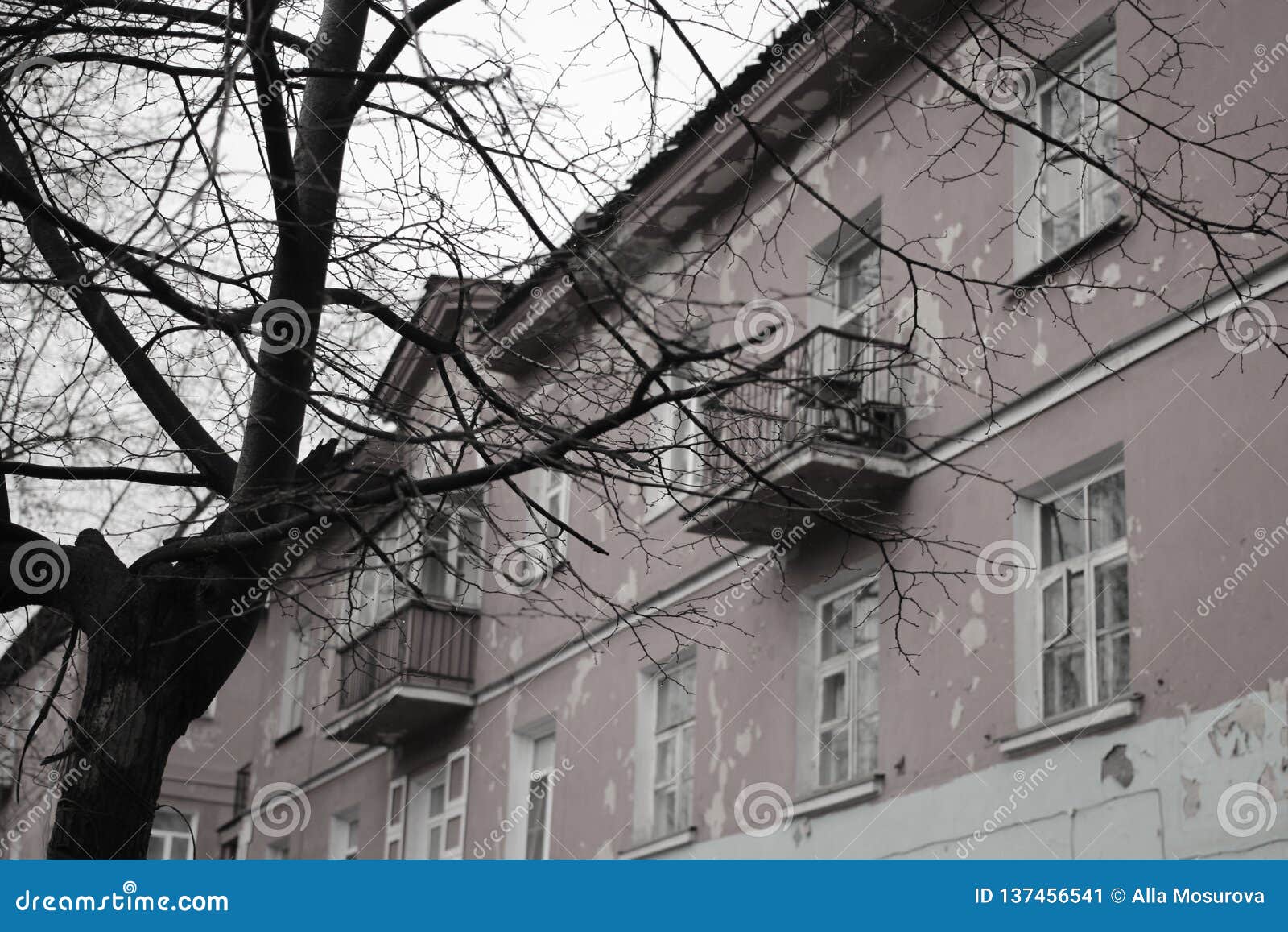 Old Multi-storey Building Constructivism Architecture, Historical ...