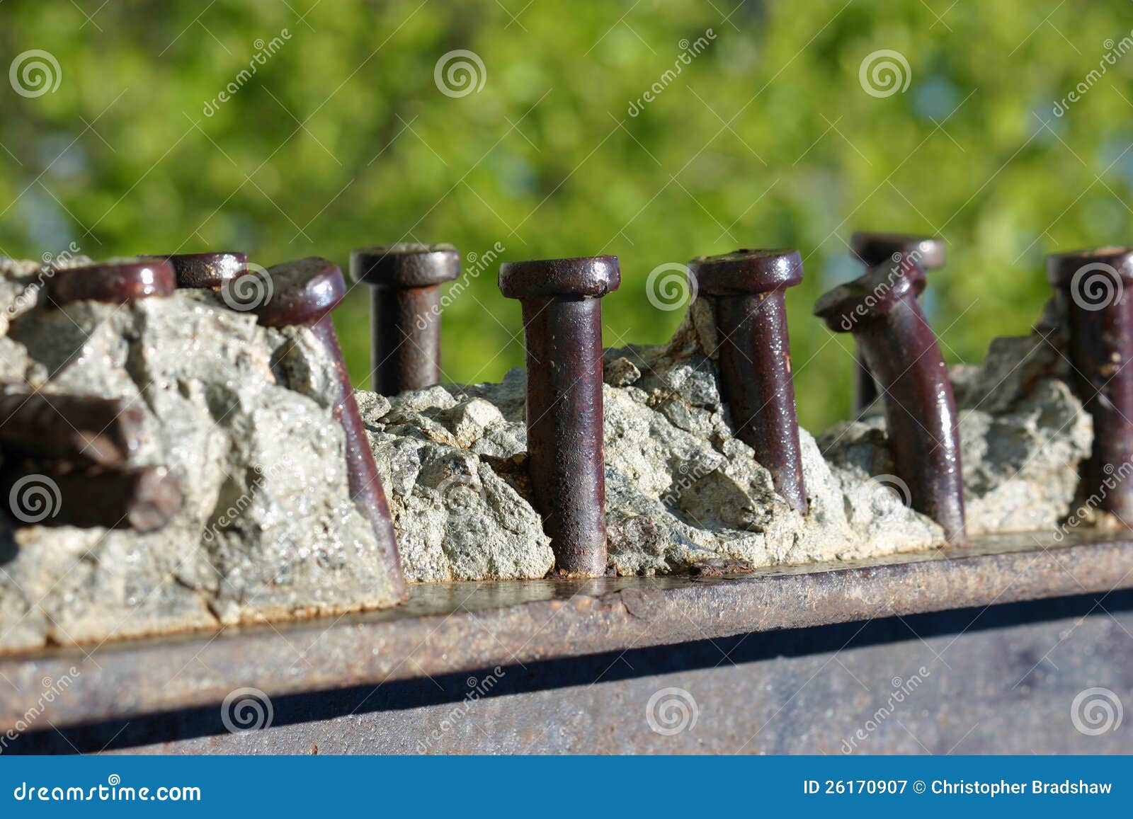 Old Nails stock image. Image of brown, iron, nail, spike - 26170907