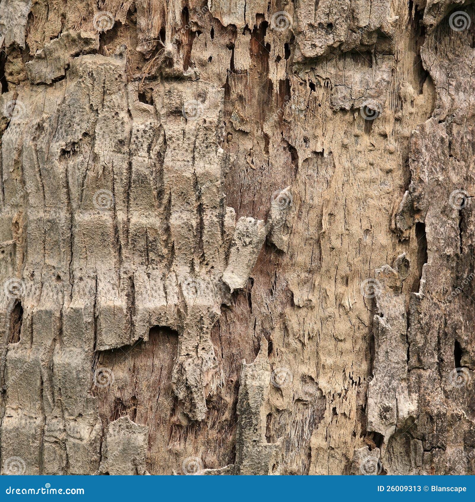 Old natural bark texture stock image. Image of barn, lumber - 26009313