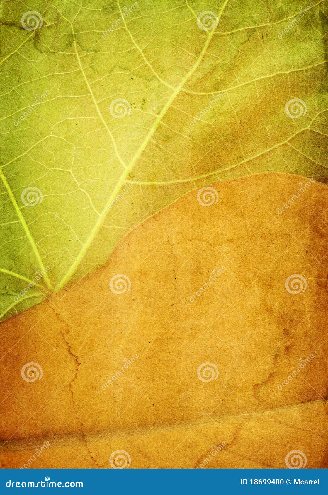 Old and New Leaf Organic Collage Stock Photo - Image of abstract, leaf ...