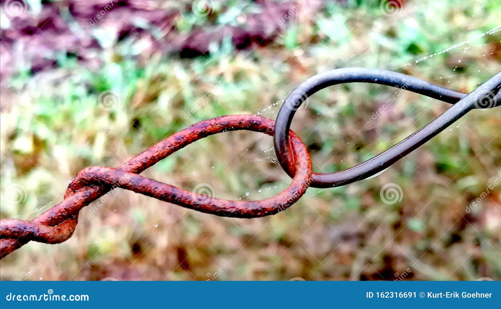 Old and new wire stock image. Image of steel, wire, rusty - 162316691