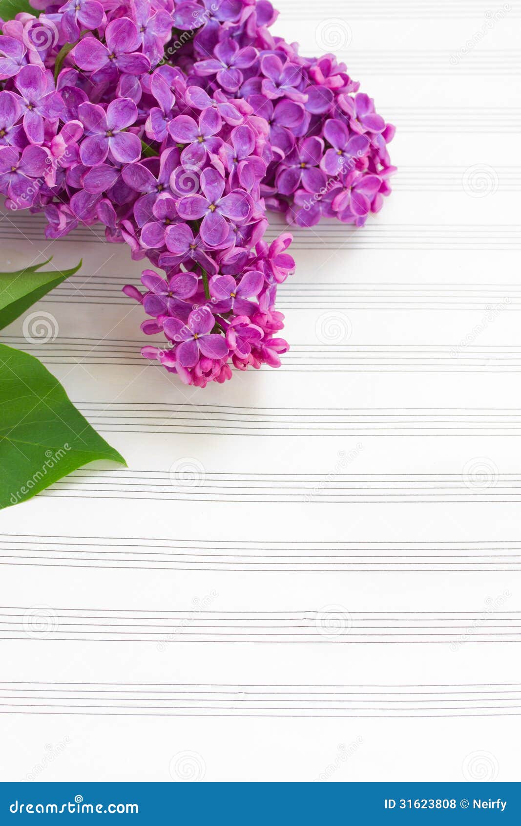 Old Note Paper with Blank Space Stock Photo - Image of concept, flowers ...