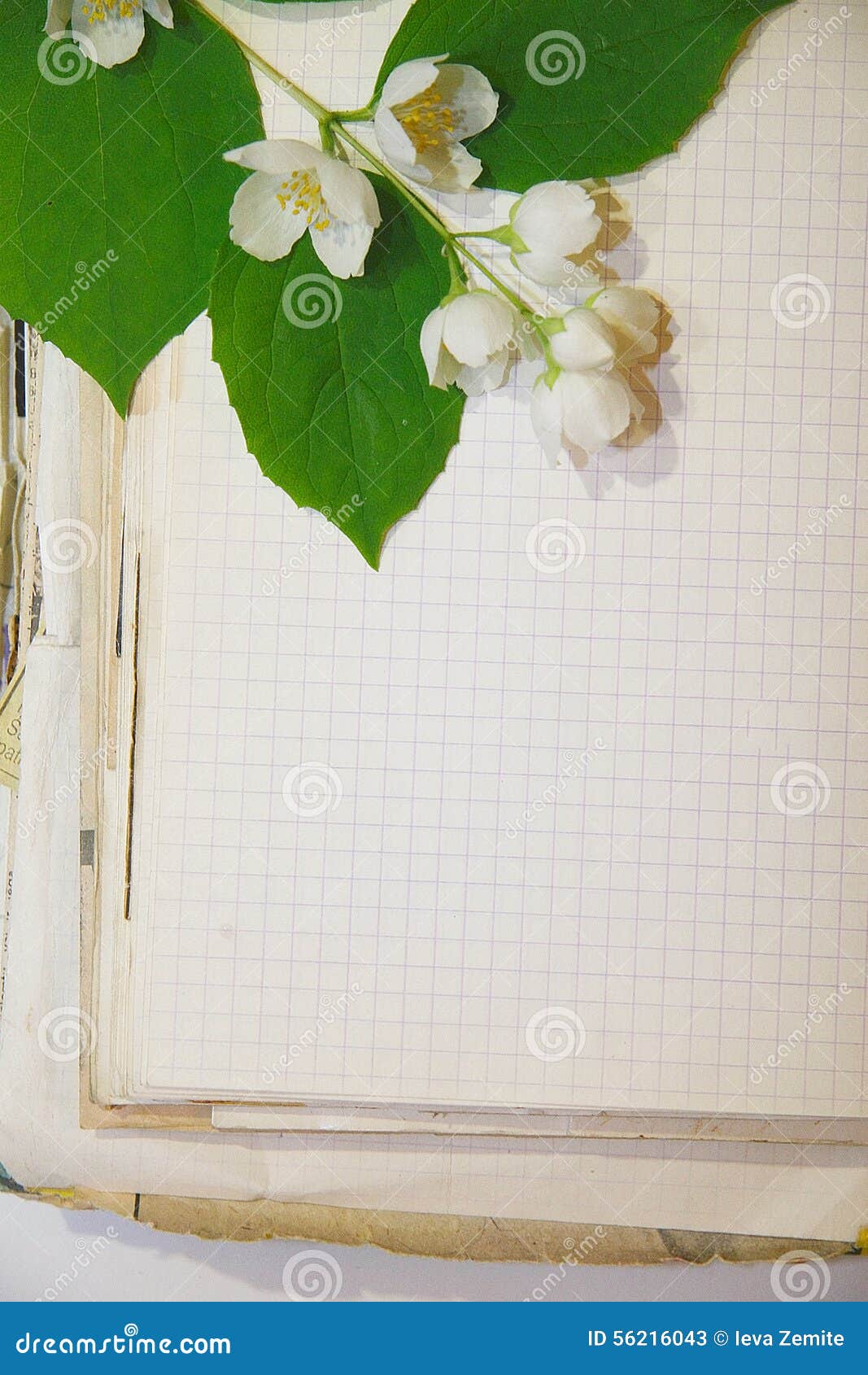 Old Notebook stock image. Image of parchment, pages, paper - 56216043