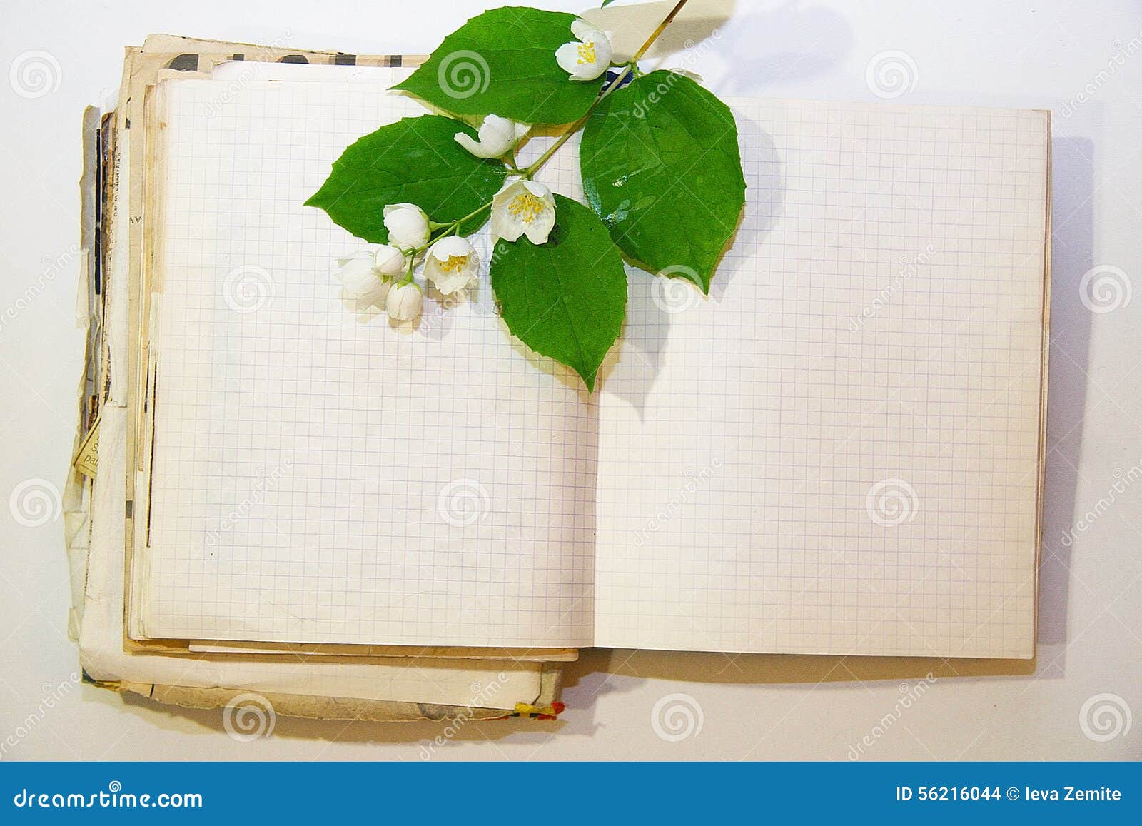 Old Notebook stock photo. Image of info, jasmine, flowers - 56216044