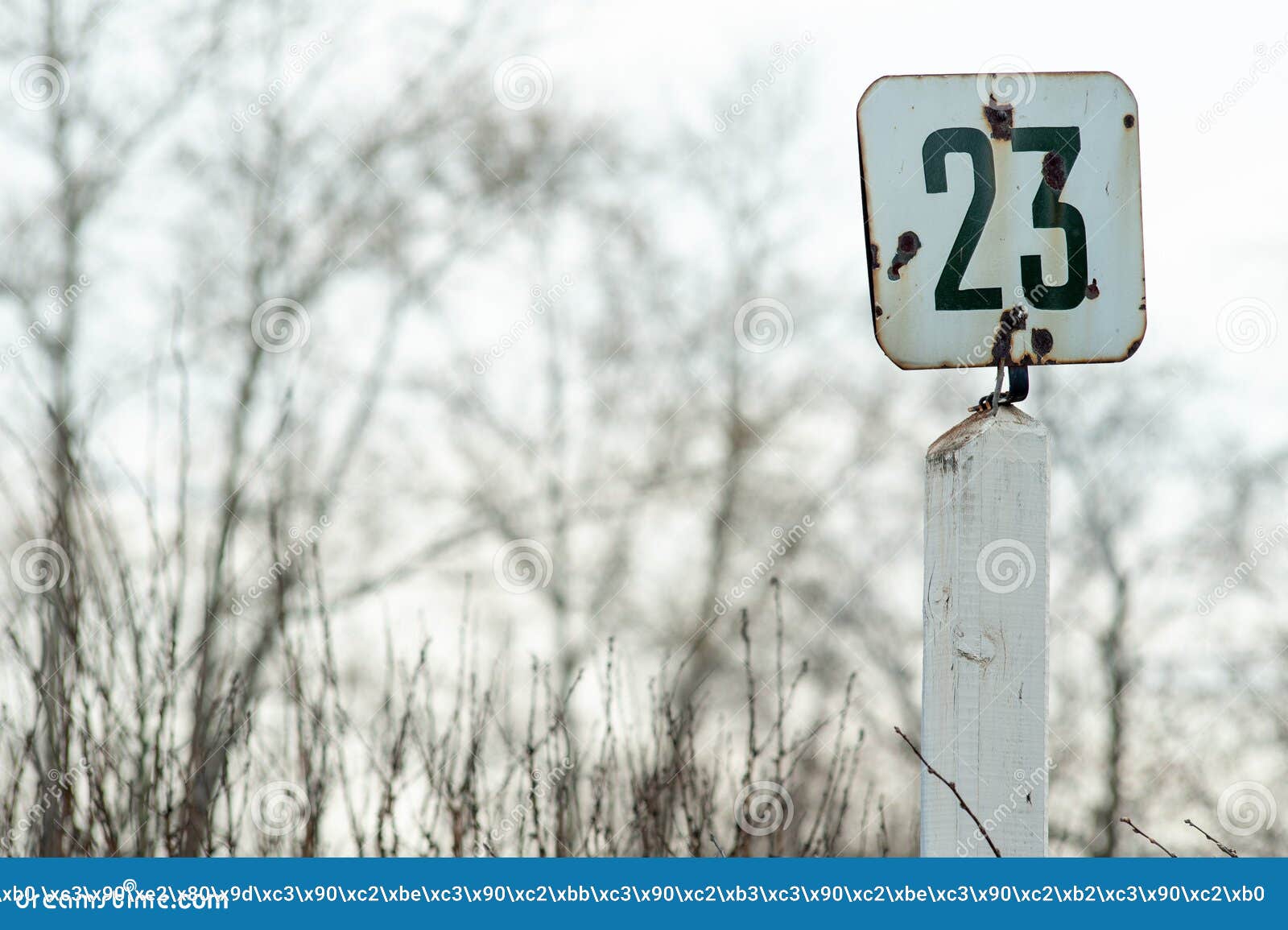 Old Number Plate on Trees Background Stock Photo - Image of symbol ...