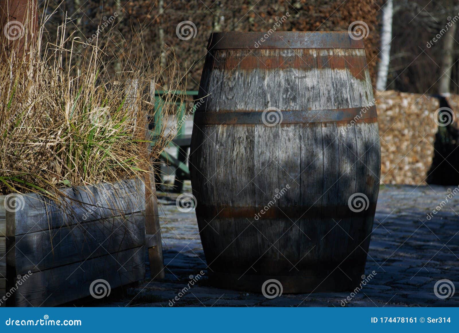 Old Oak Barrel Standing in the Open Stock Image - Image of birch ...