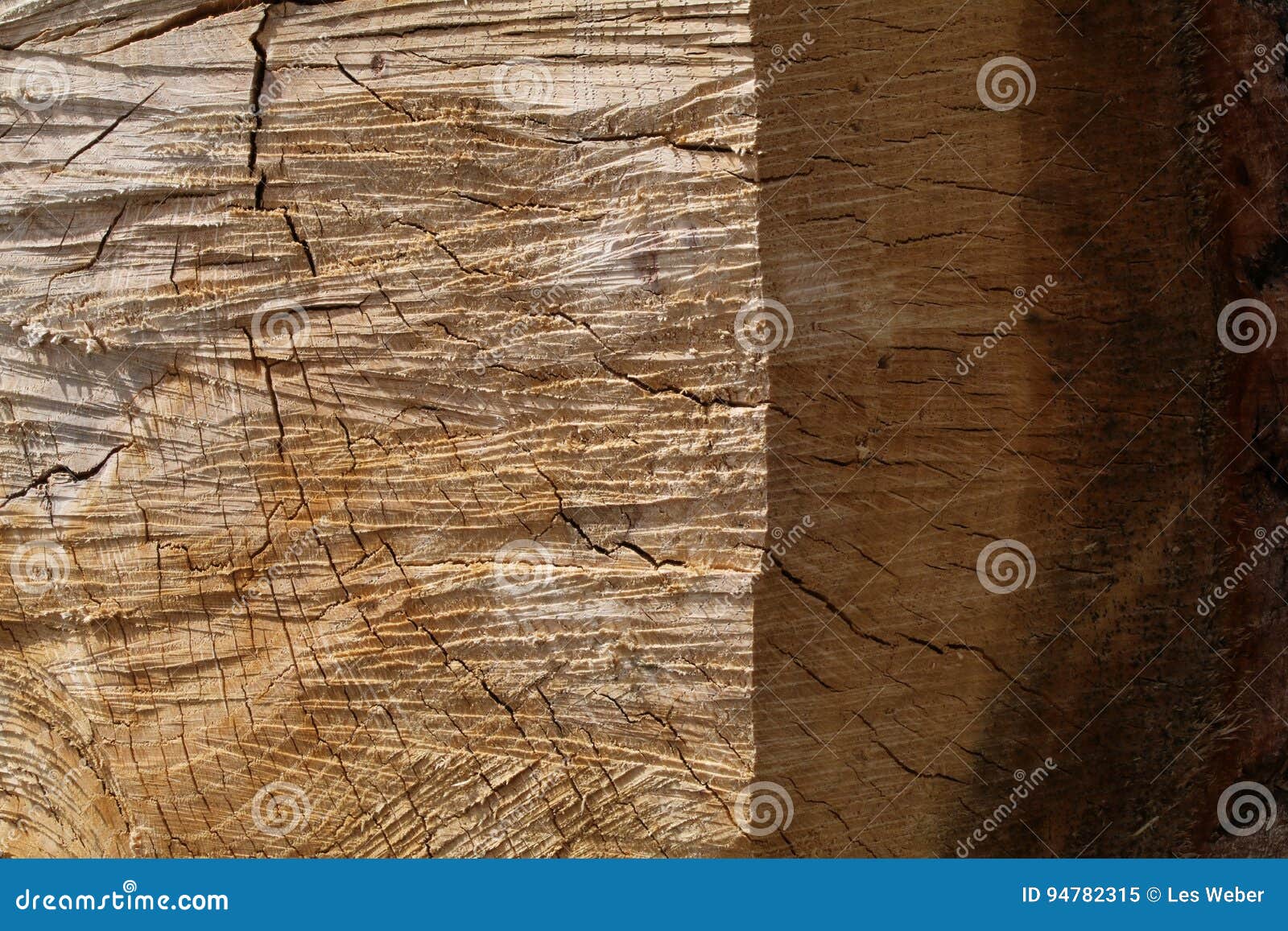 Old Oak Split Log High Relief Stock Image - Image of crack, texture ...