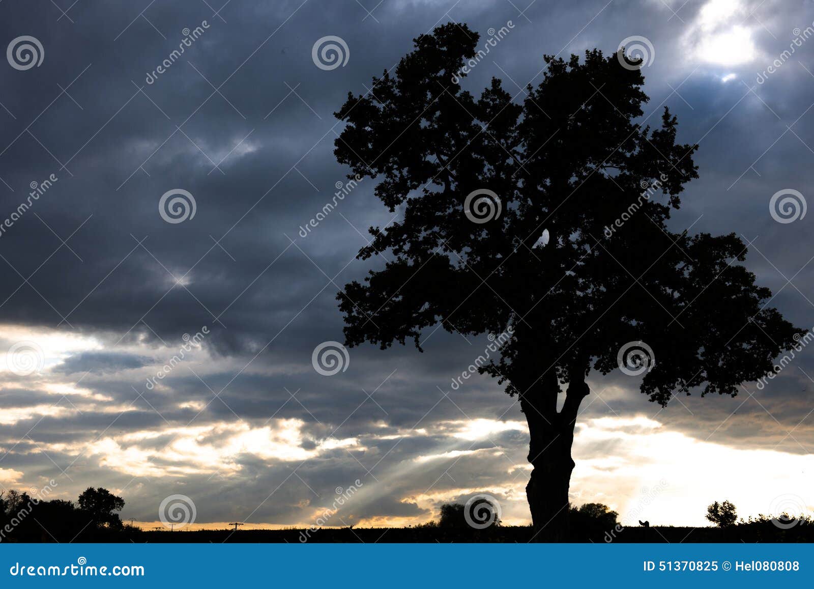 Old Oak Tree, Dark Clouds, Sunset Stock Image - Image of dramatically ...