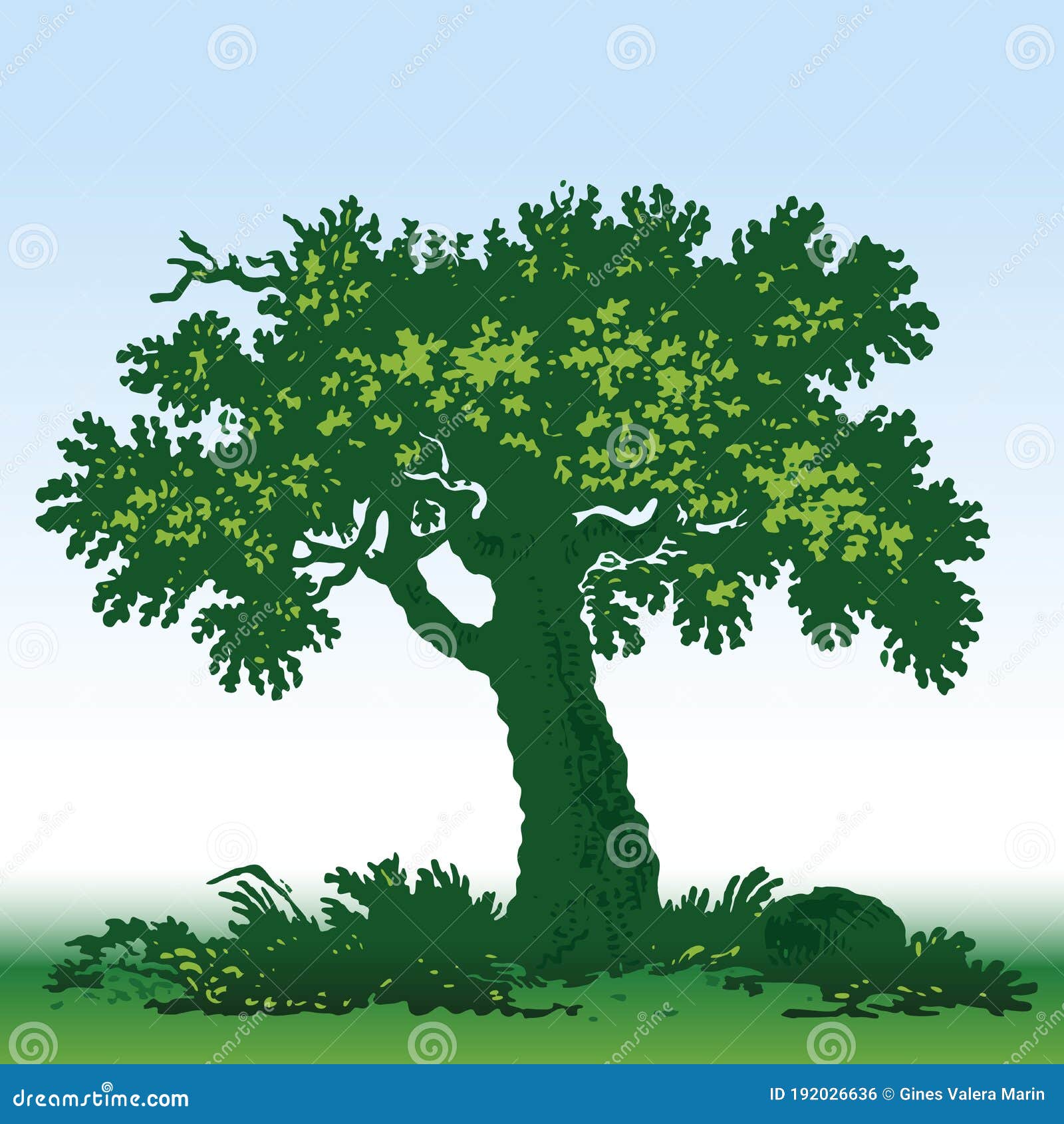 Old Oak Tree Icon in Green Tones. Isolated Stock Illustration ...