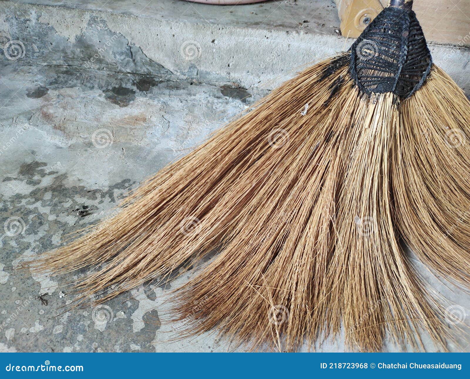 Broom or besom stock photo. Image of leaf, tree, wildlife - 218723968