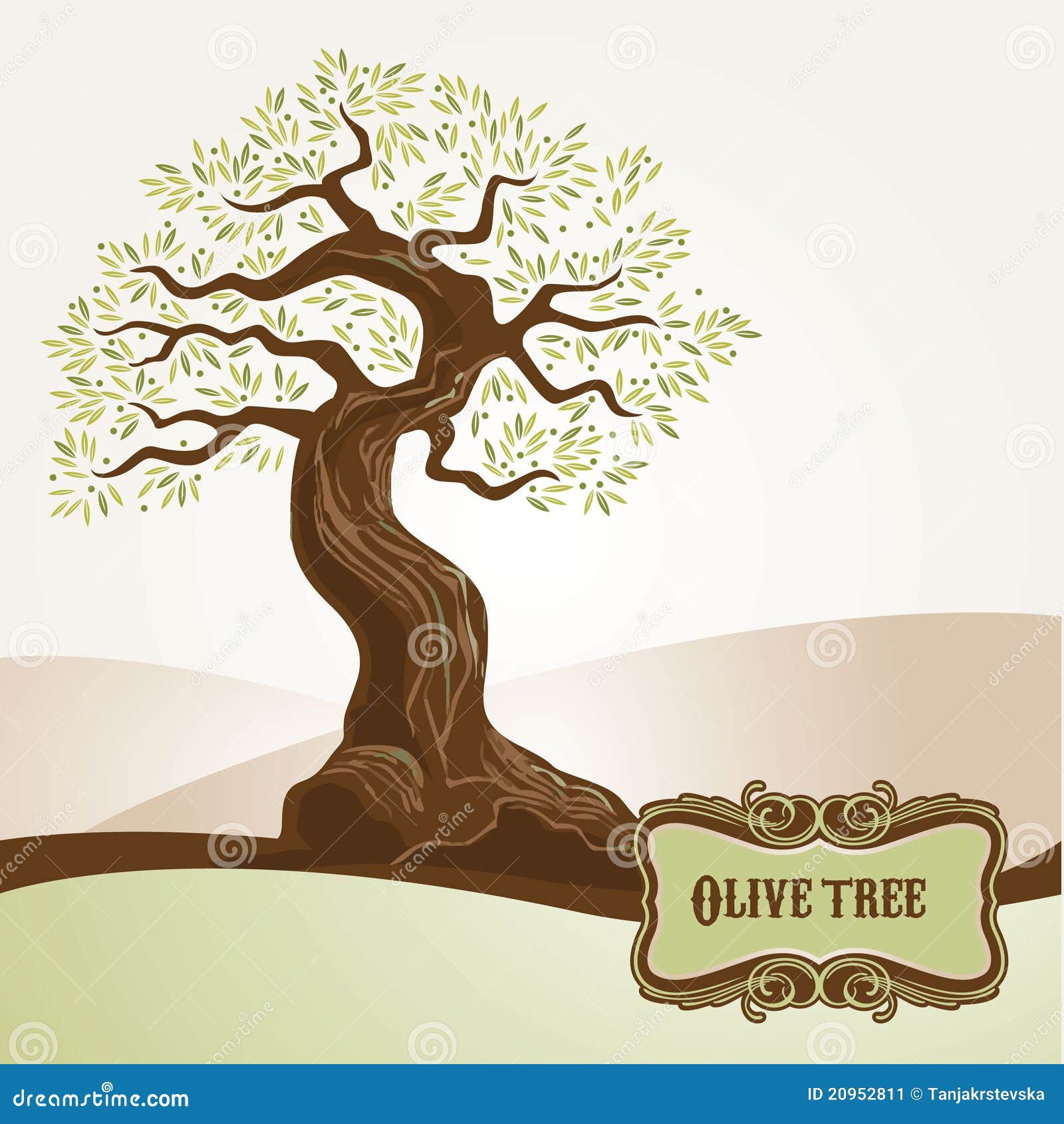 Old olive tree stock vector. Illustration of organic - 20952811