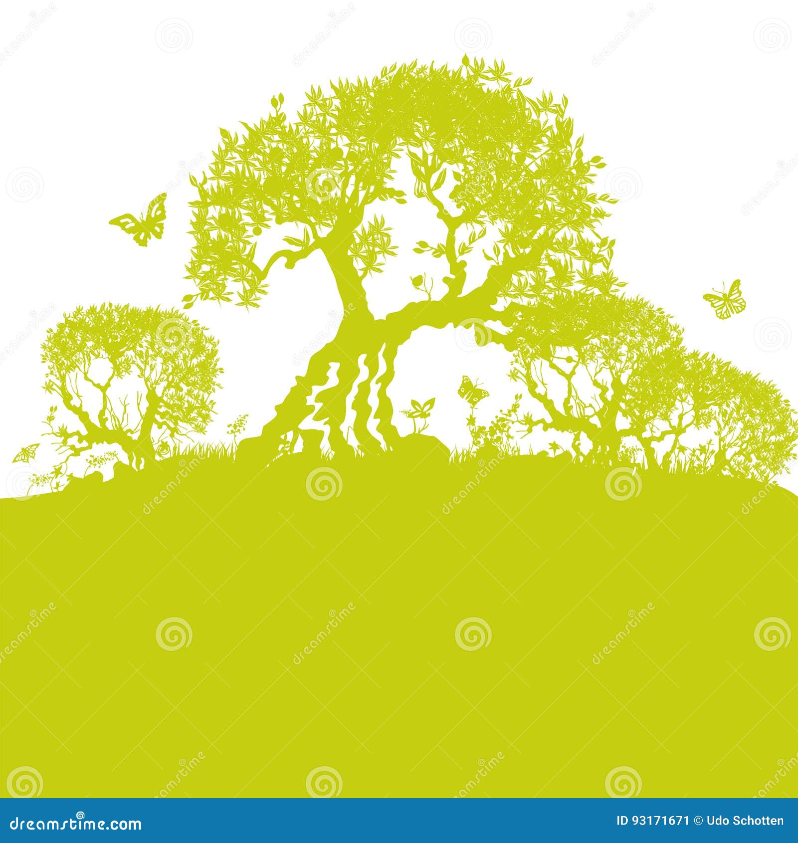 Old olive trees stock vector. Illustration of forest - 93171671
