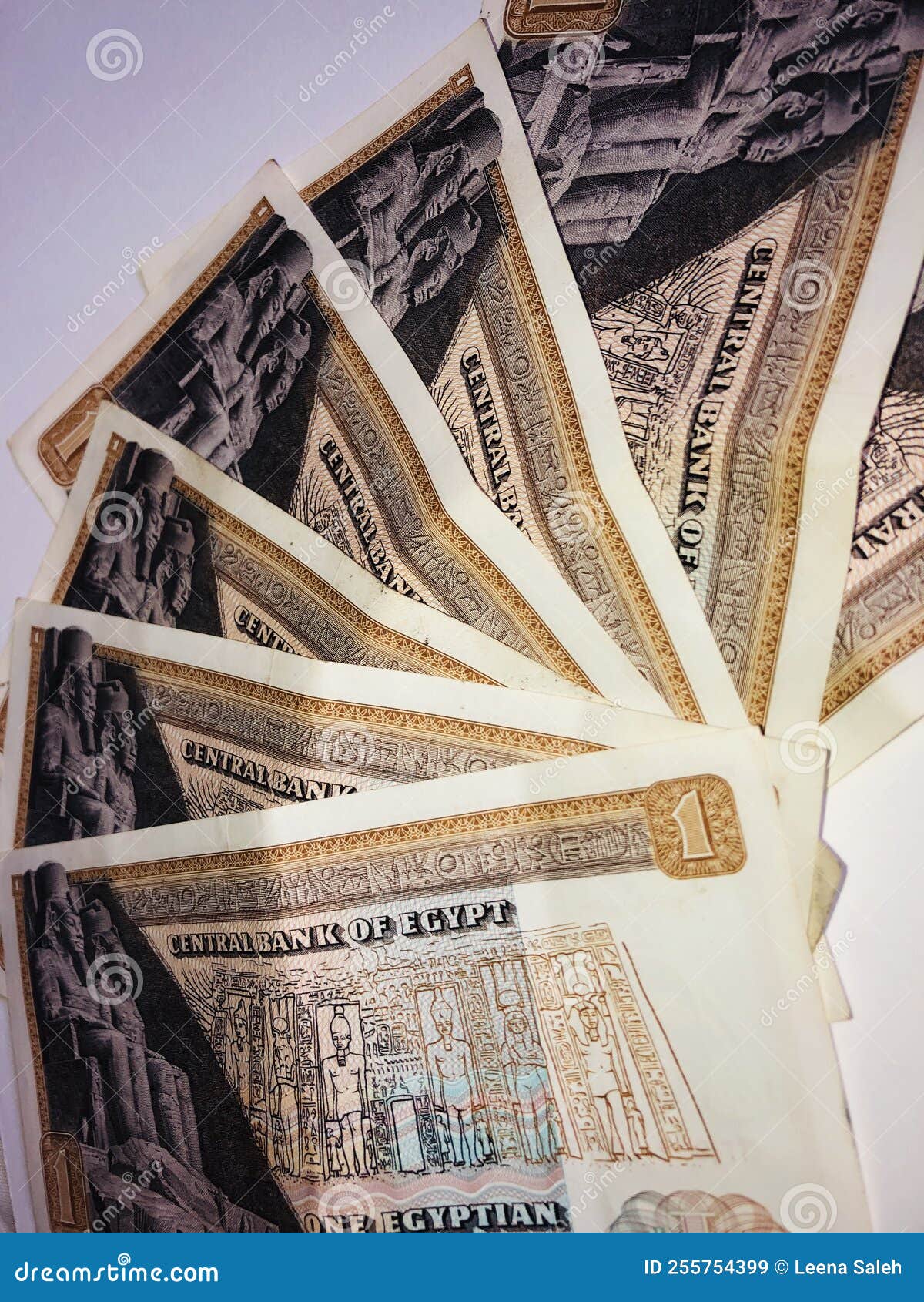 Old one Egyptian pound stock image. Image of pound, 1978 - 255754399