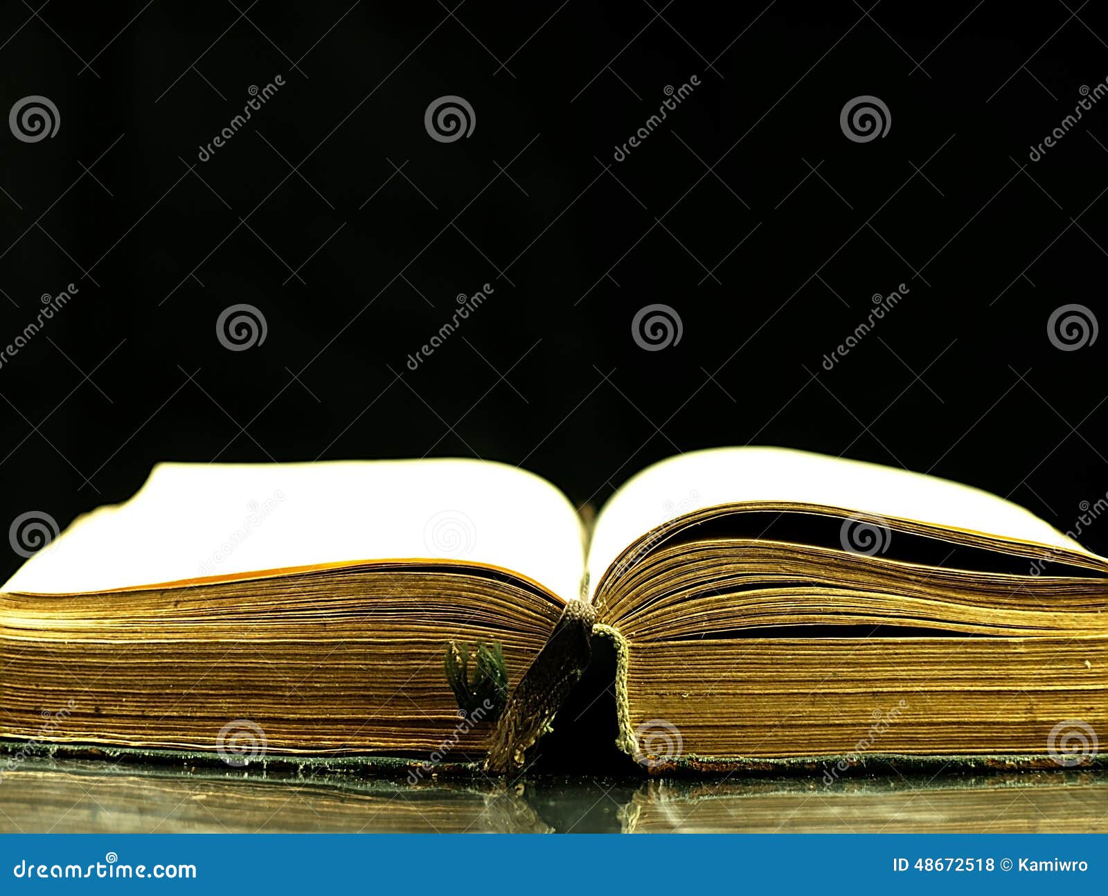 Old, Open Book with a Damaged Cover. Stock Photo - Image of grunge ...