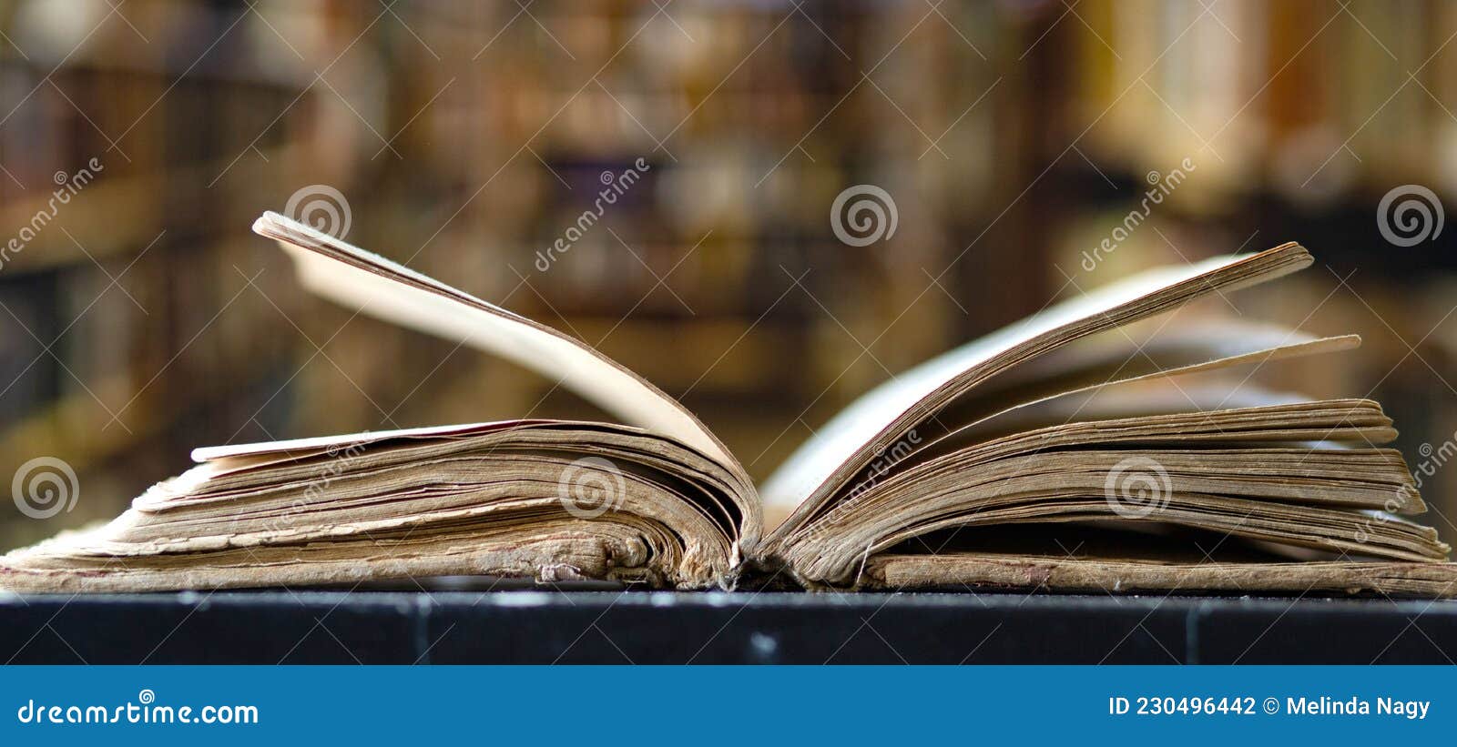 Old open book in a library stock photo. Image of isolated - 230496442