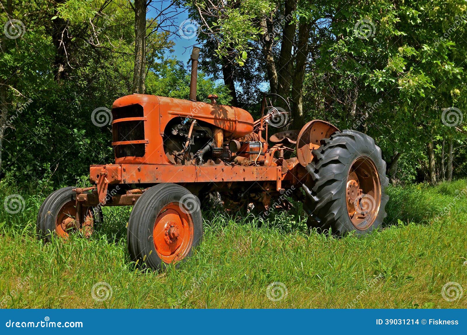Old Orange Tractor in the Woods Stock Photo - Image of grass, collector ...
