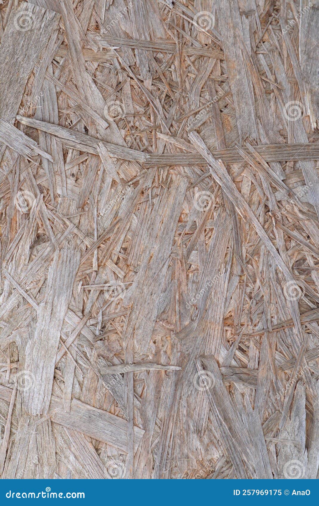 Old OSB Texture Background. Chipboard Sheet. Construction Concept ...