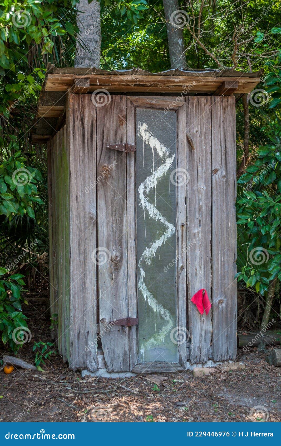 An Old Outhouse in the Woods Stock Photo - Image of building, excrement ...