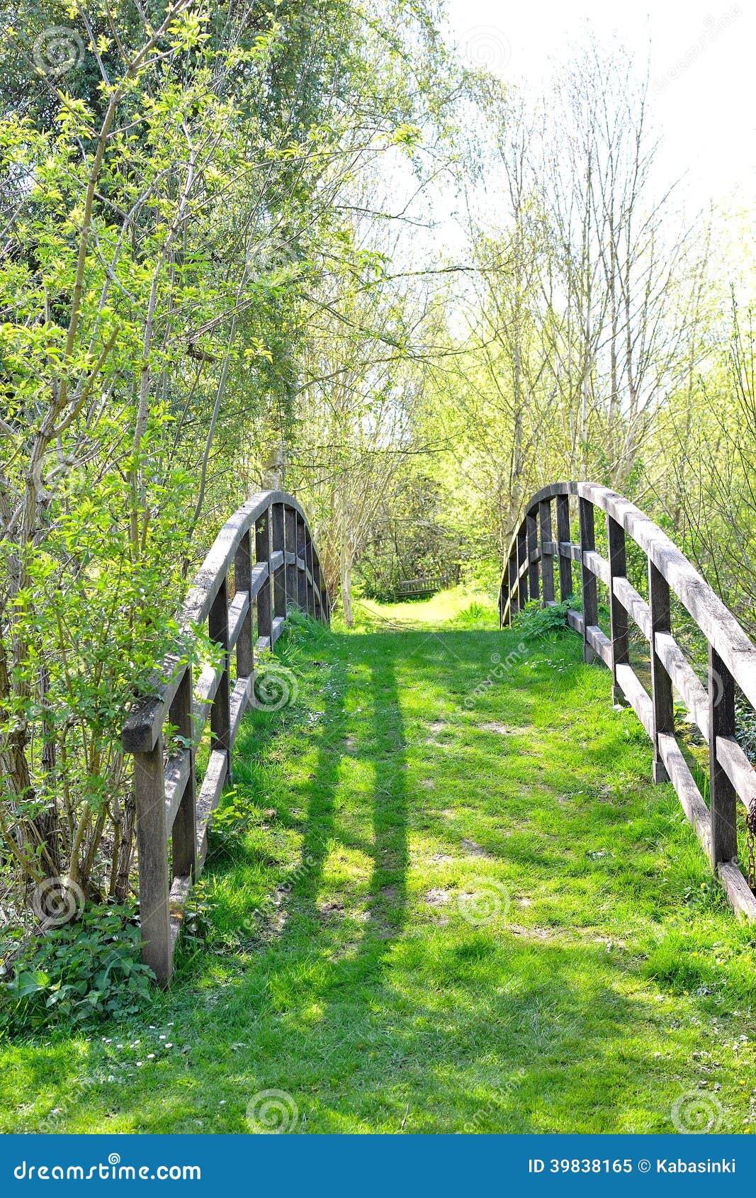 Old oval wooden bridge 2 stock image. Image of shade - 39838165