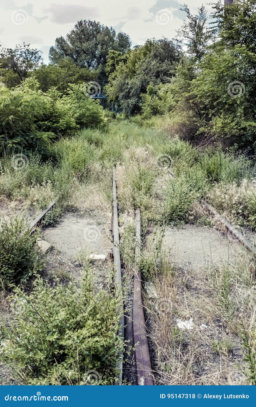 Old Overgrown Abandoned Railway Stock Photo - Image of railroad ...
