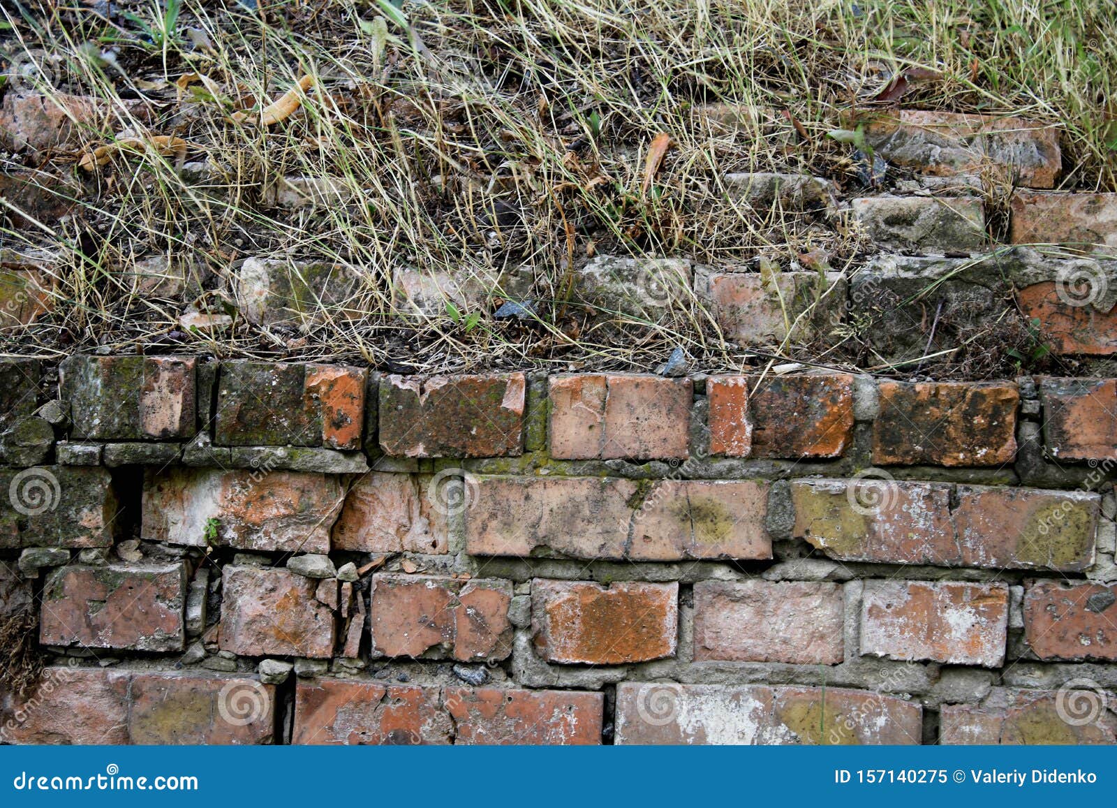 Old overgrown brick stock image. Image of colored, comfort - 157140275