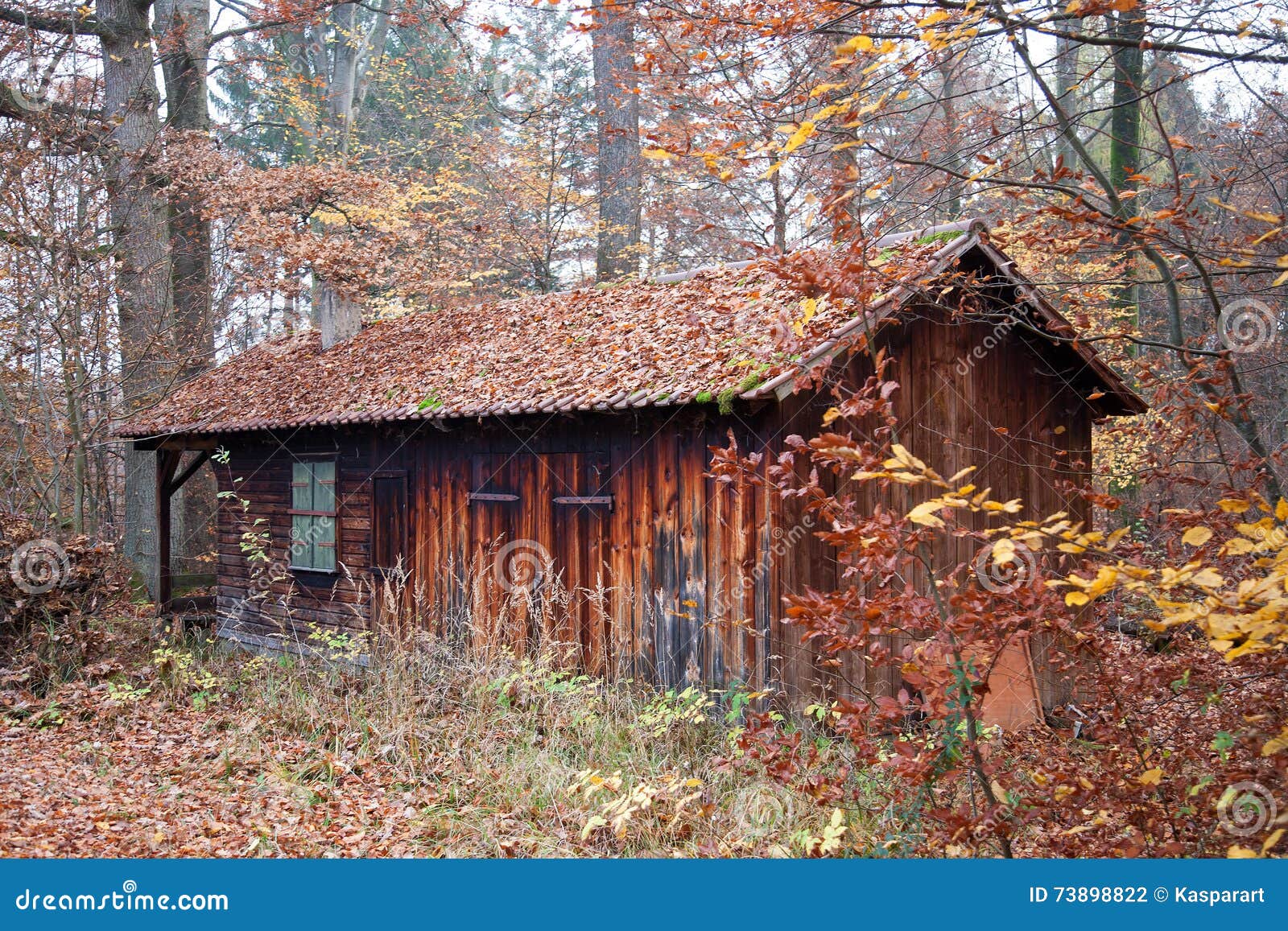 Old Overgrown Cabin In The Woods Stock Photo - Image of structure ...