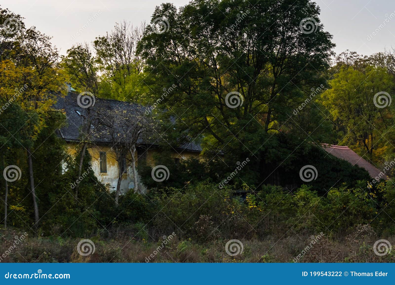 Old Overgrown House in the Forest and Nature Stock Photo - Image of ...