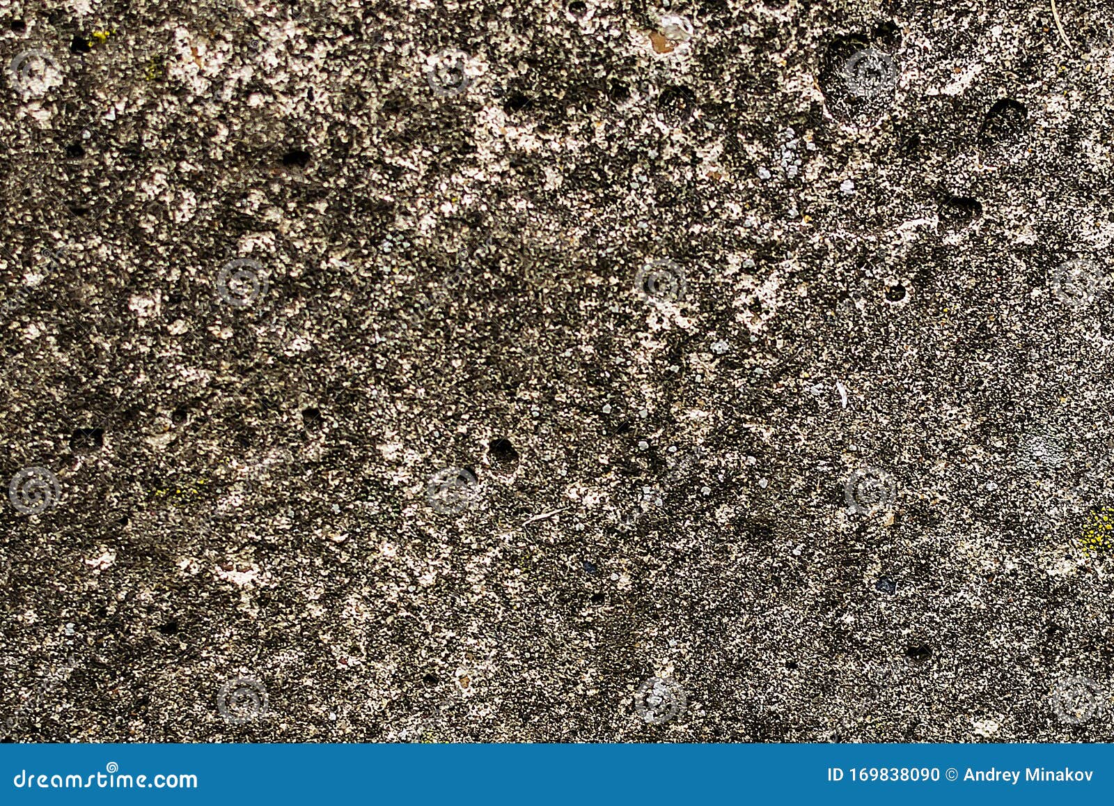 Old Overgrown Porous Concrete Texture Grey Stock Photo - Image of grey ...