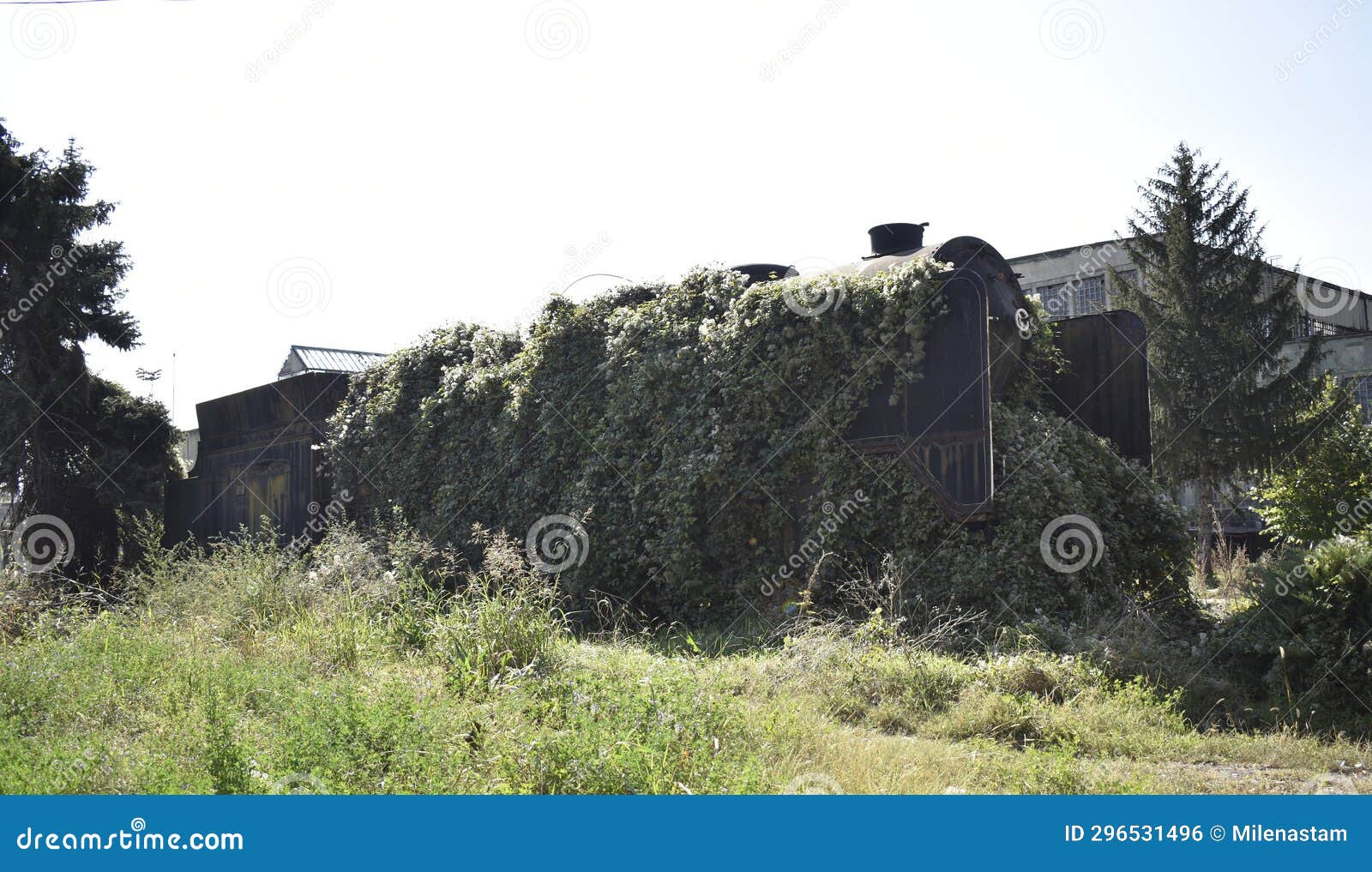 Old overgrown railroad car stock photo. Image of imperfection - 296531496