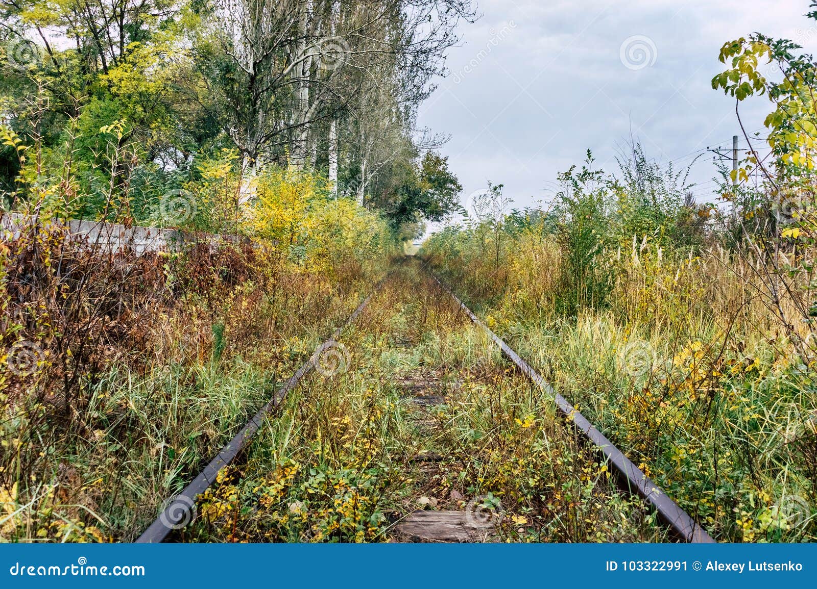 Old Overgrown Railway in Autumn Stock Image - Image of road, industrial ...